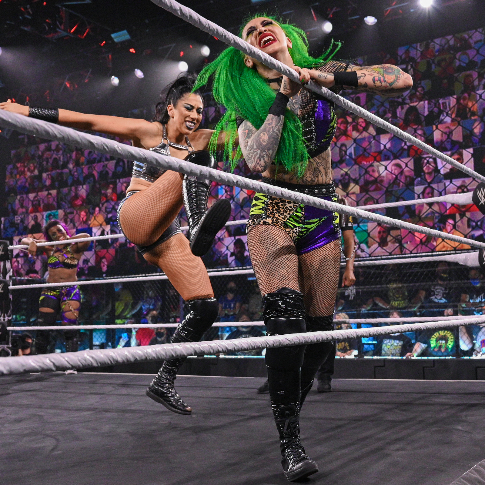 Shotzi getting kicked | Scrolller