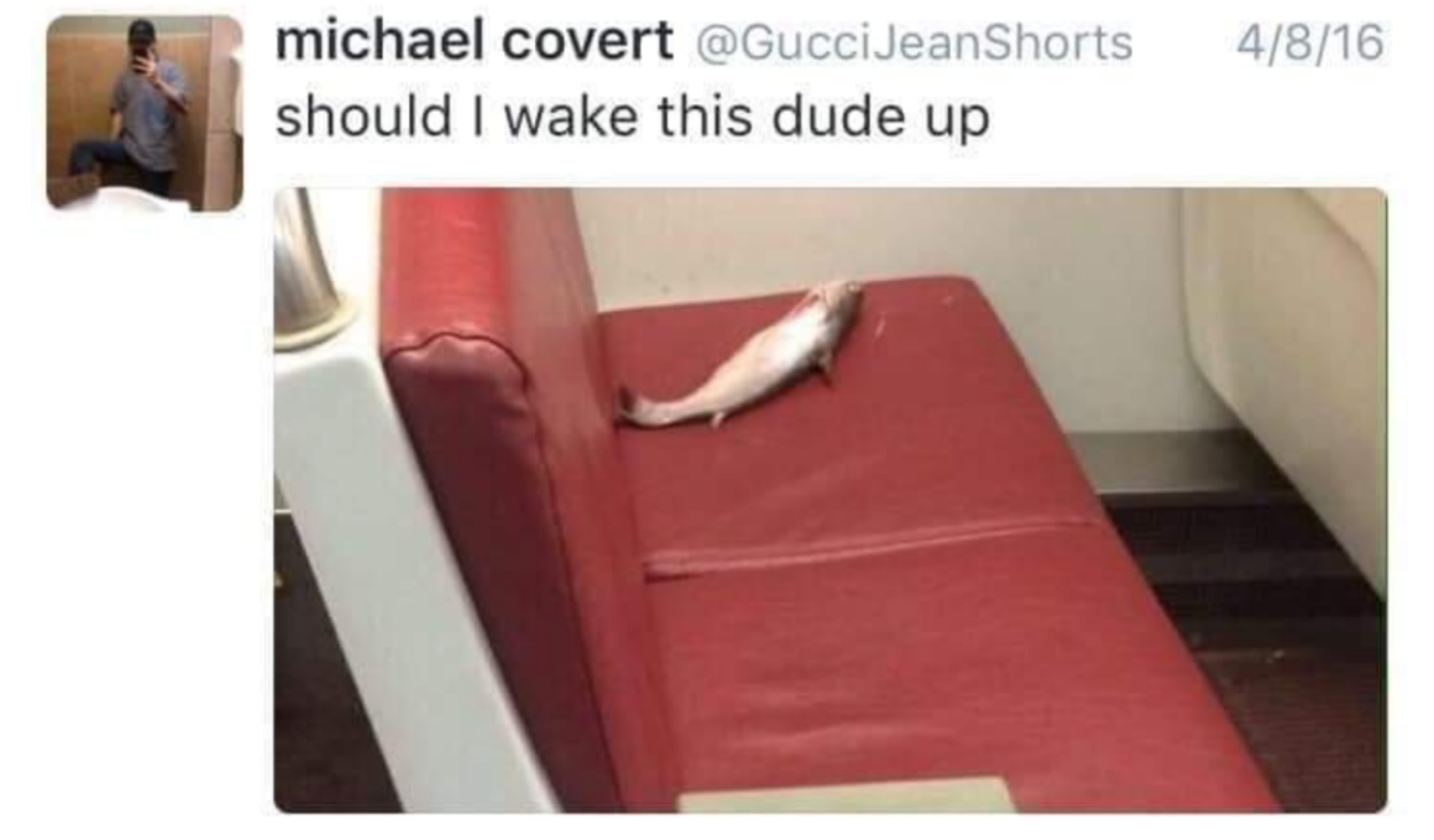 Should he? | Scrolller