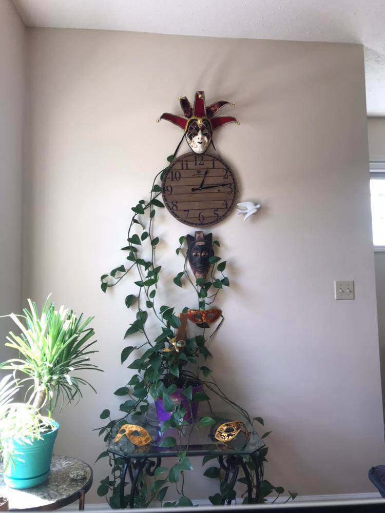 Show me how you decorate with plants! | Scrolller