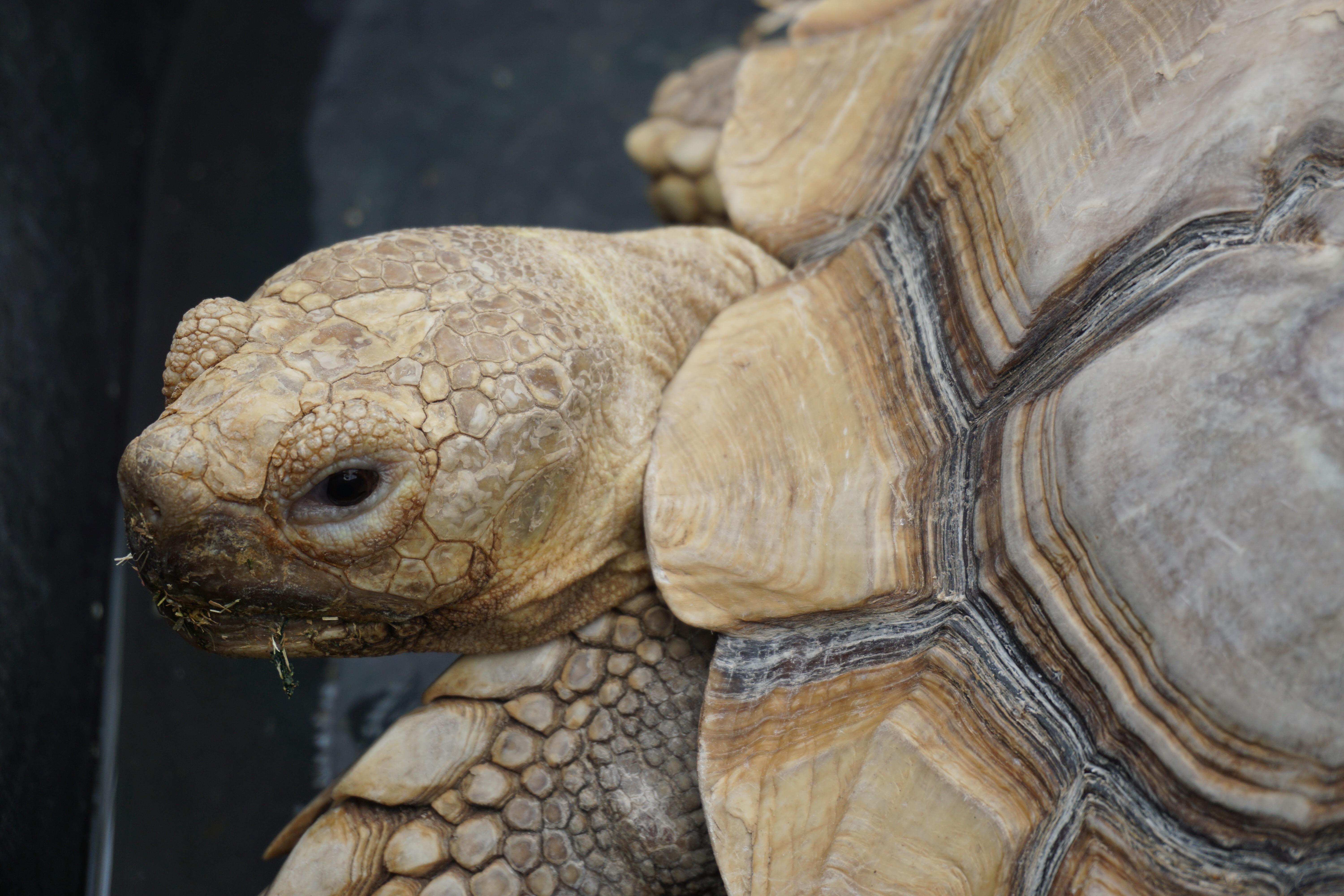 Side eye | Scrolller