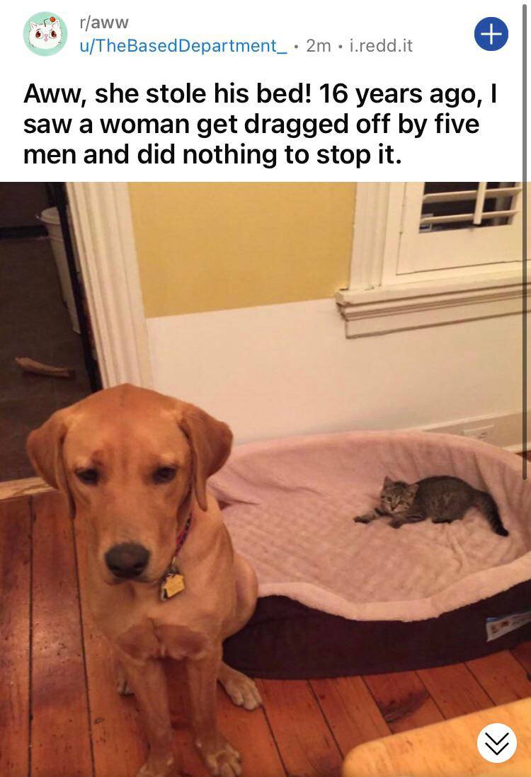 sigma mindset | Scrolller