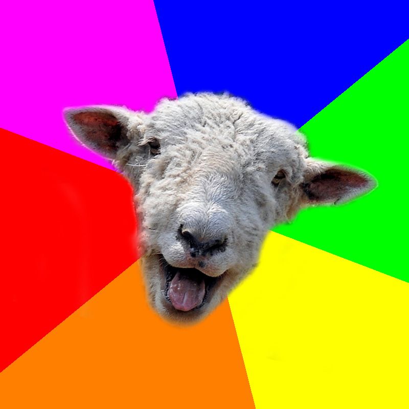 Silent Sheep | Scrolller