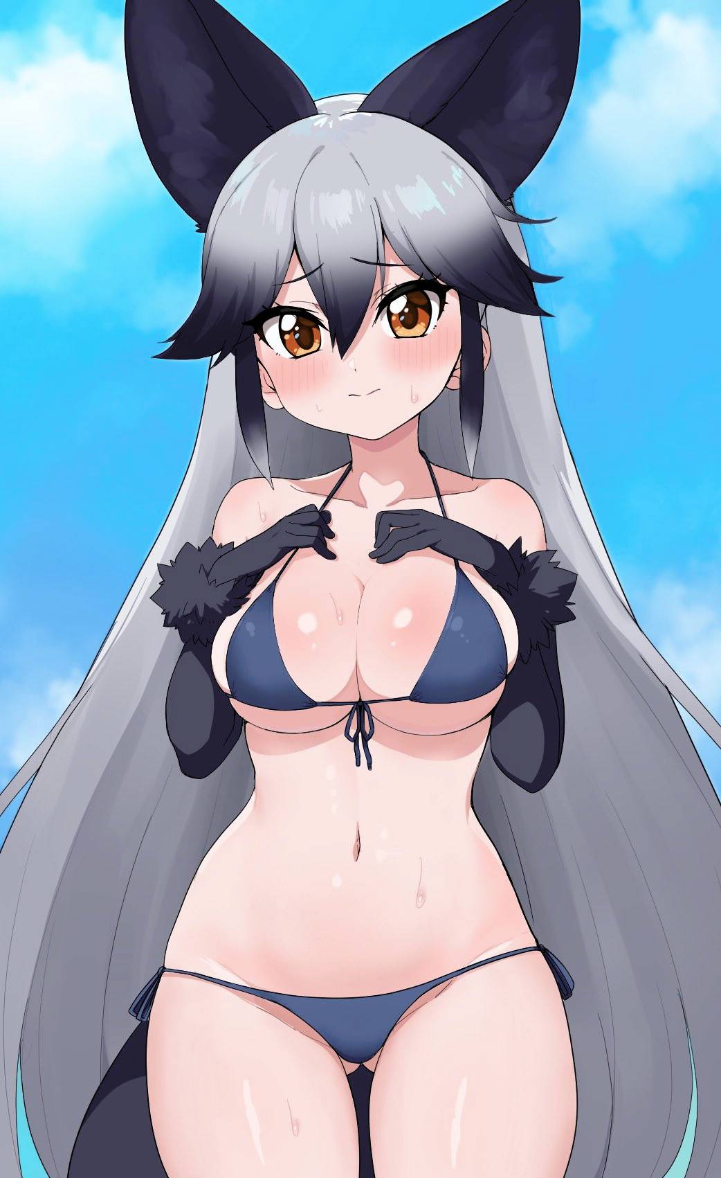 Silver Fox | Scrolller