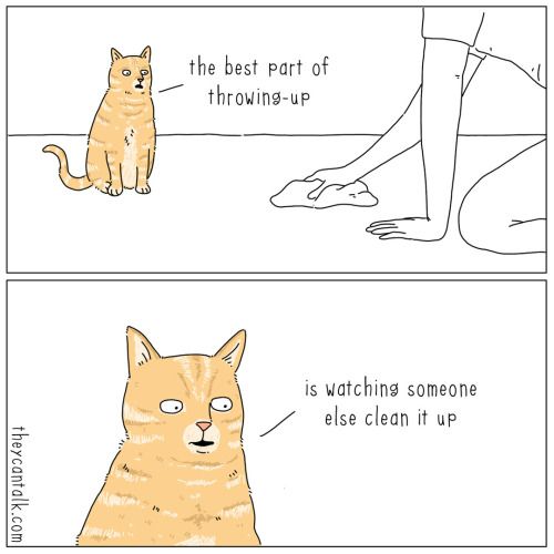 silver lining | Scrolller