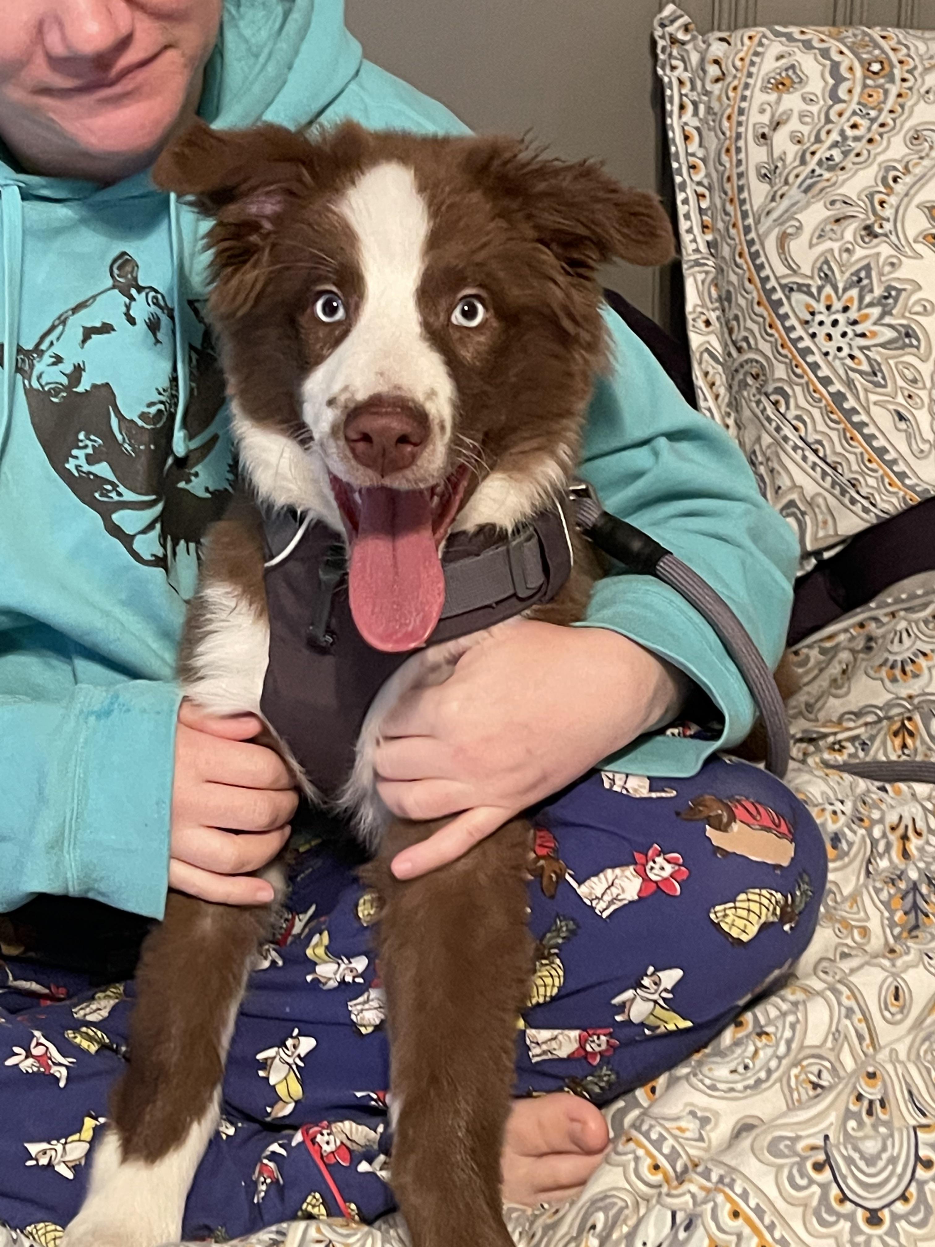 Simon has a pretty big smile for being so small | Scrolller