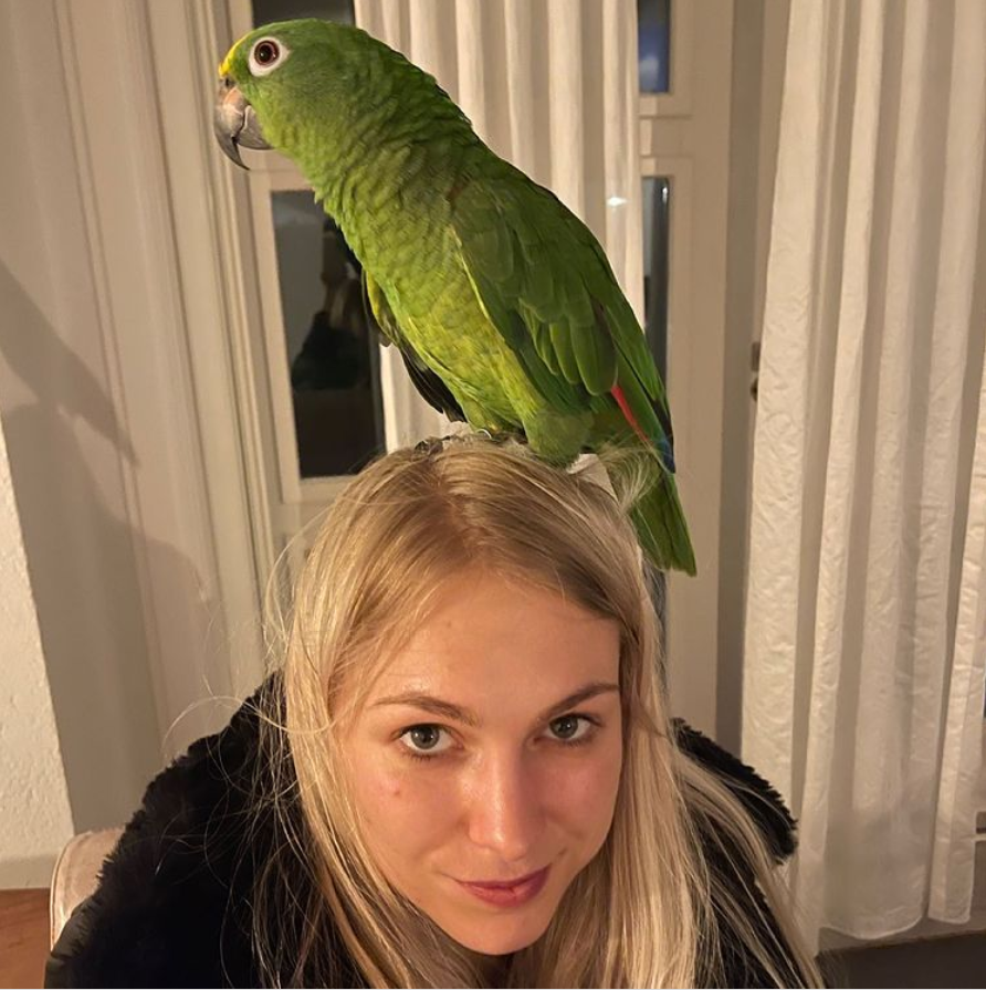Siswet's parrot :) | Scrolller