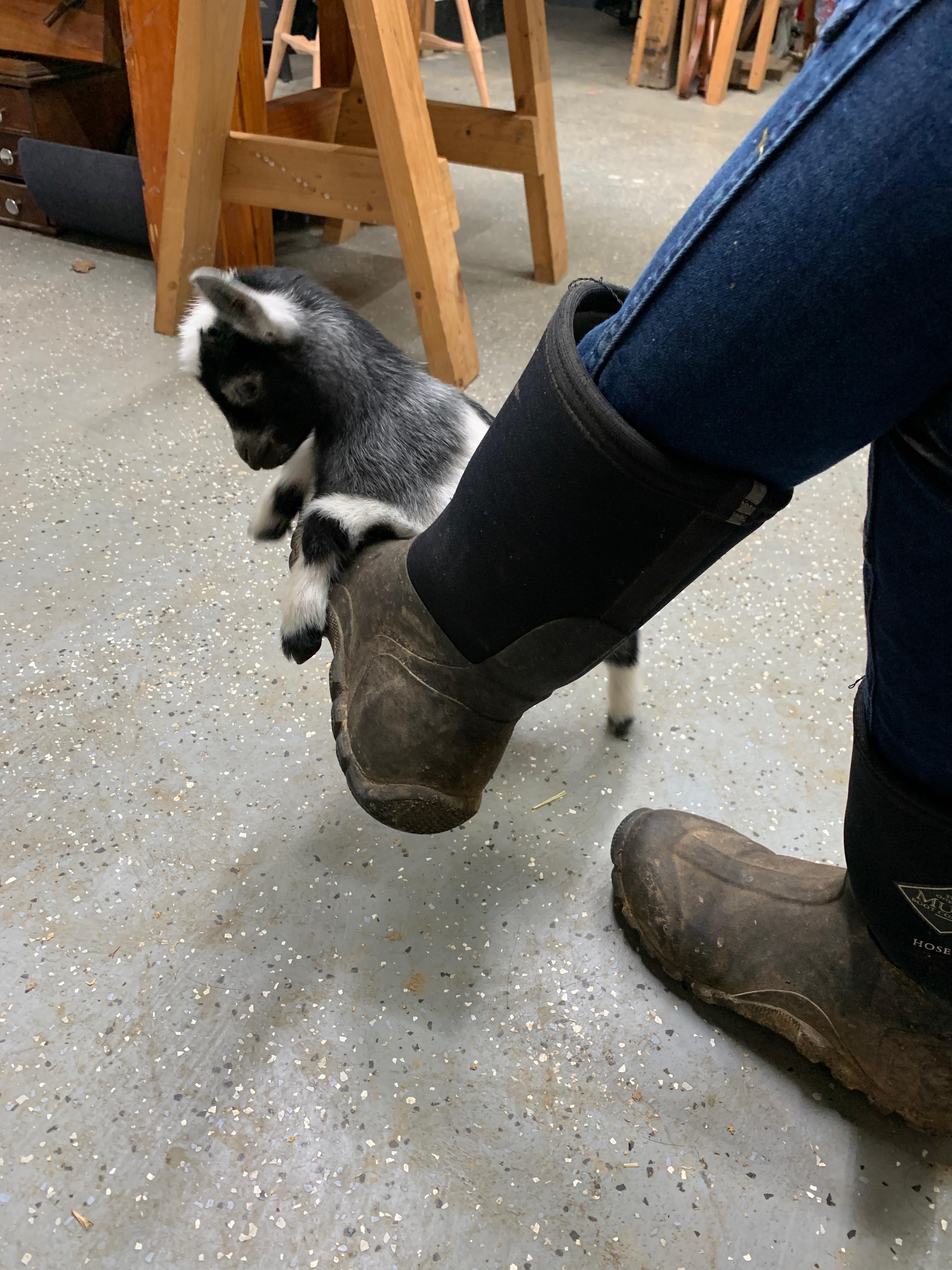 Size reference + snuggle bug | Scrolller