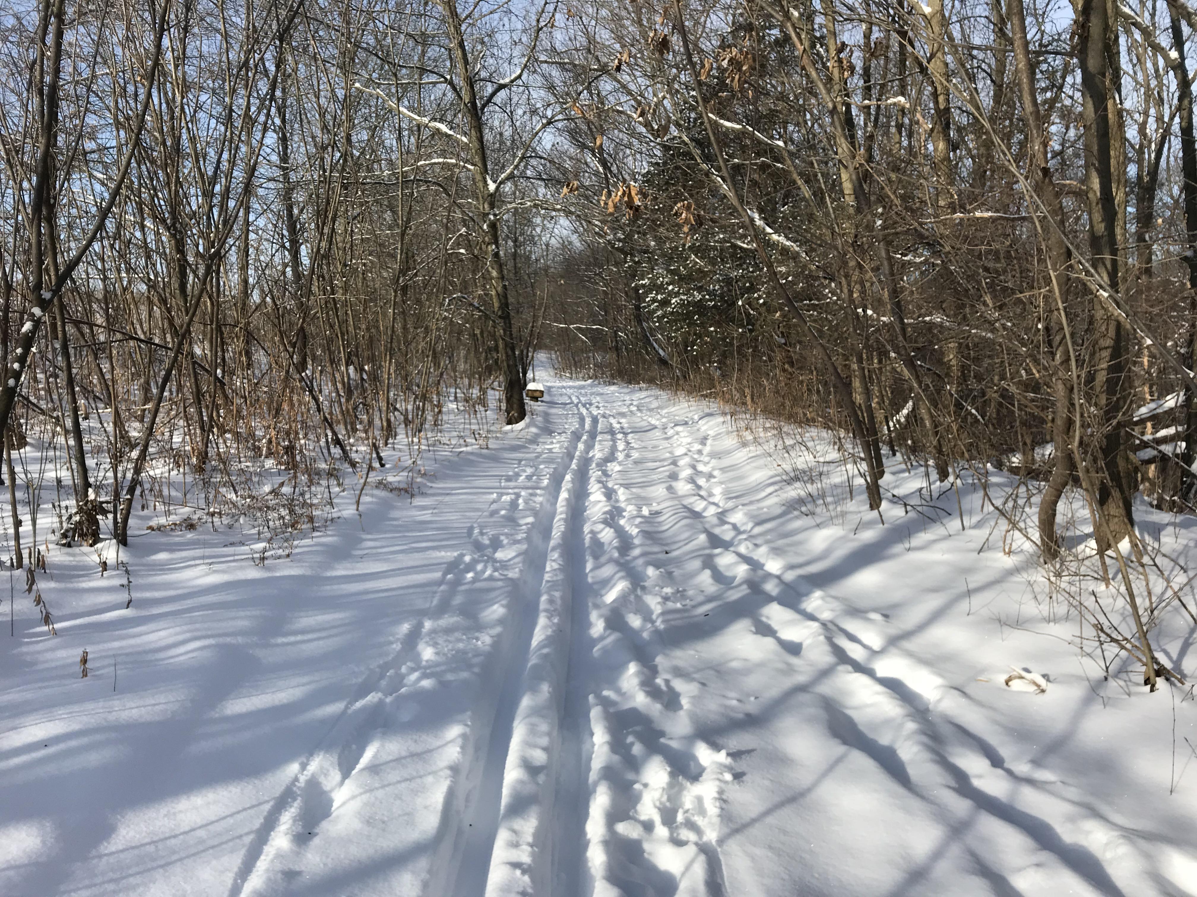 Skiing the Mines | Scrolller