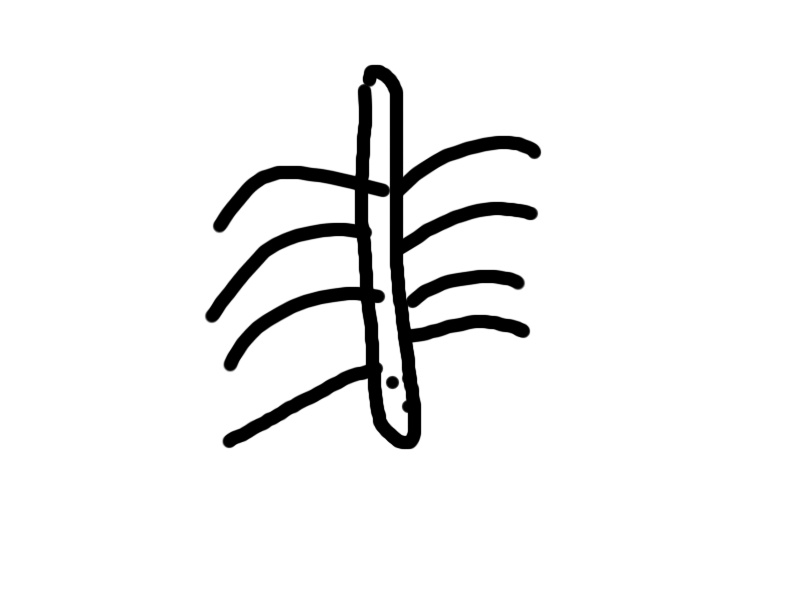 Skinny Spoder | Scrolller