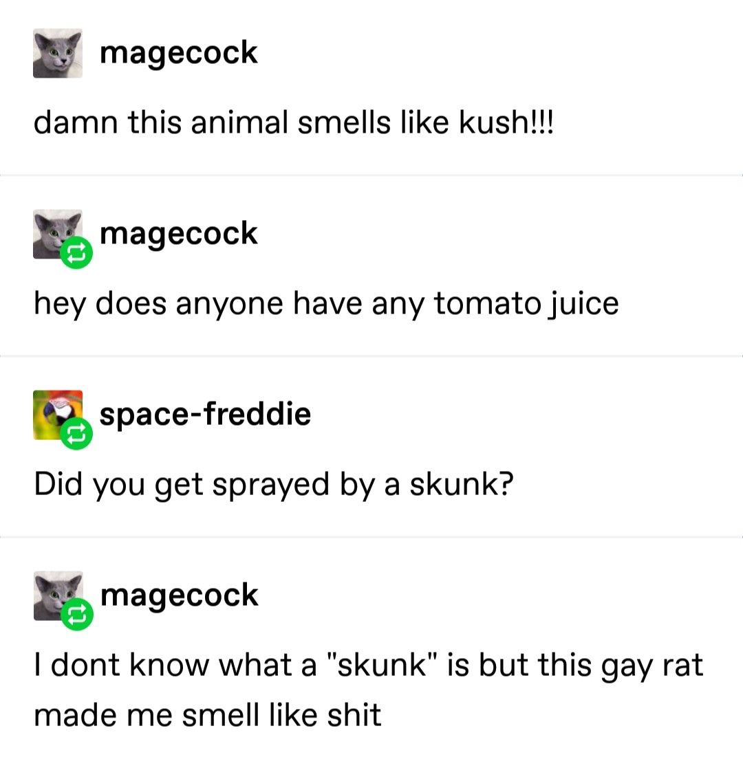 Skunk rule | Scrolller