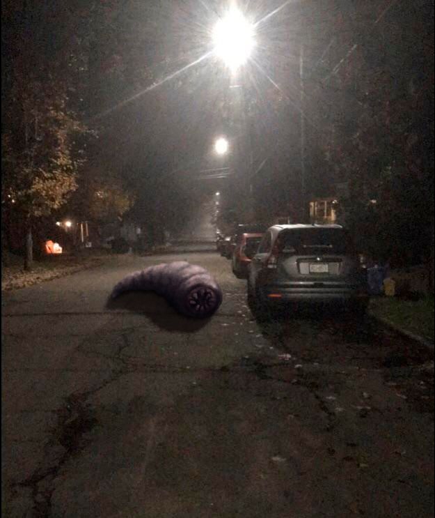 Sleep deprived leech | Scrolller