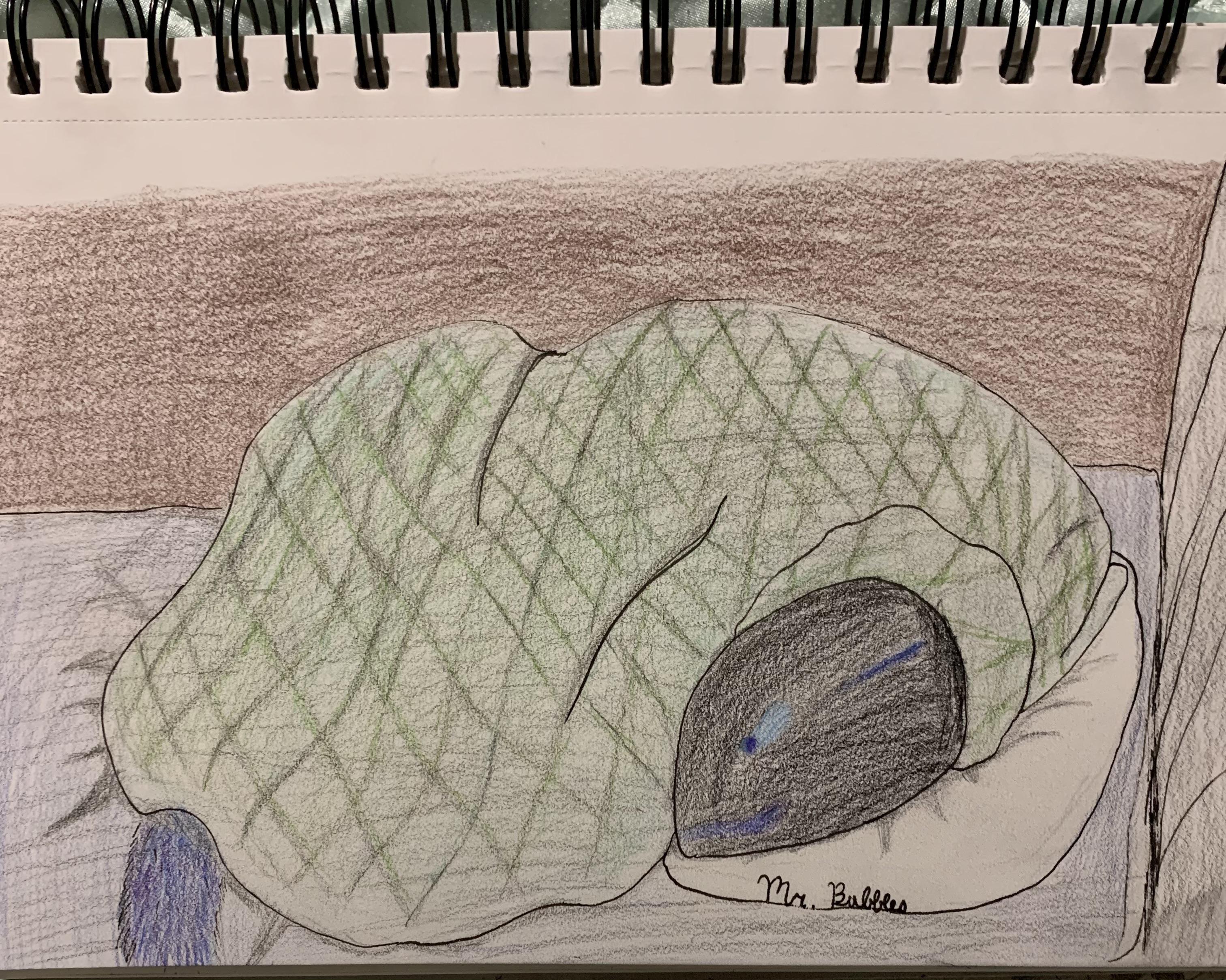 Sleep_irl | Scrolller