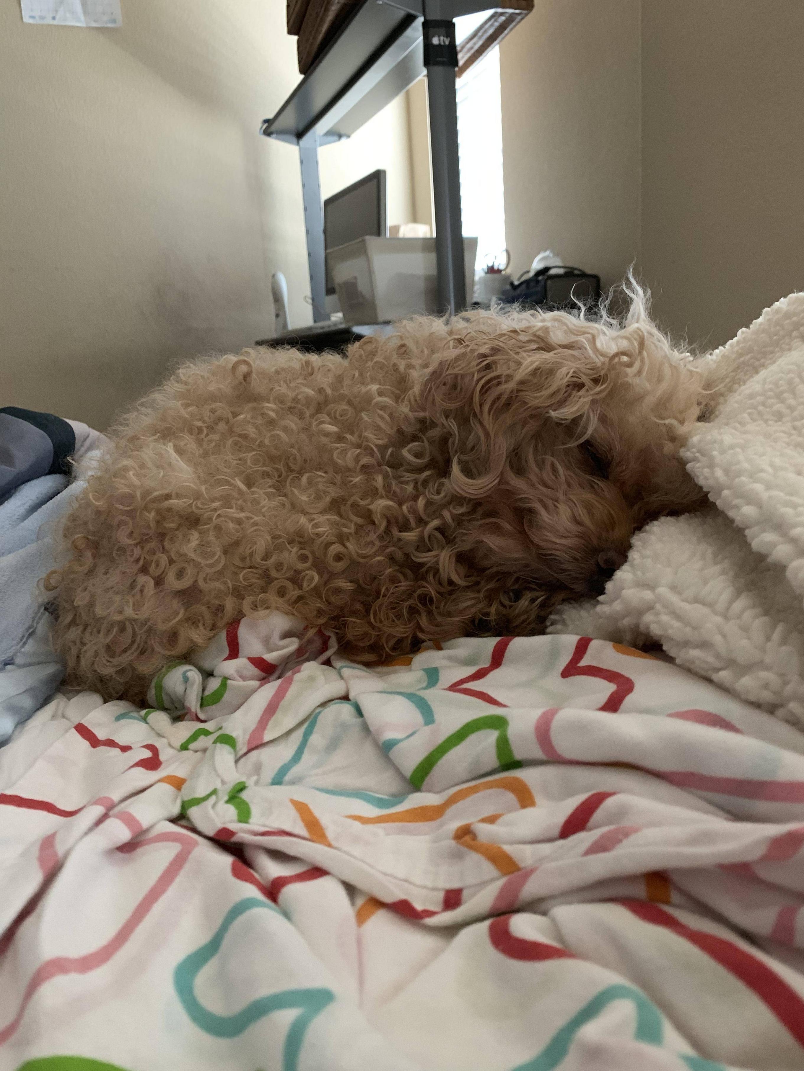 Sleeping Beauty | Scrolller