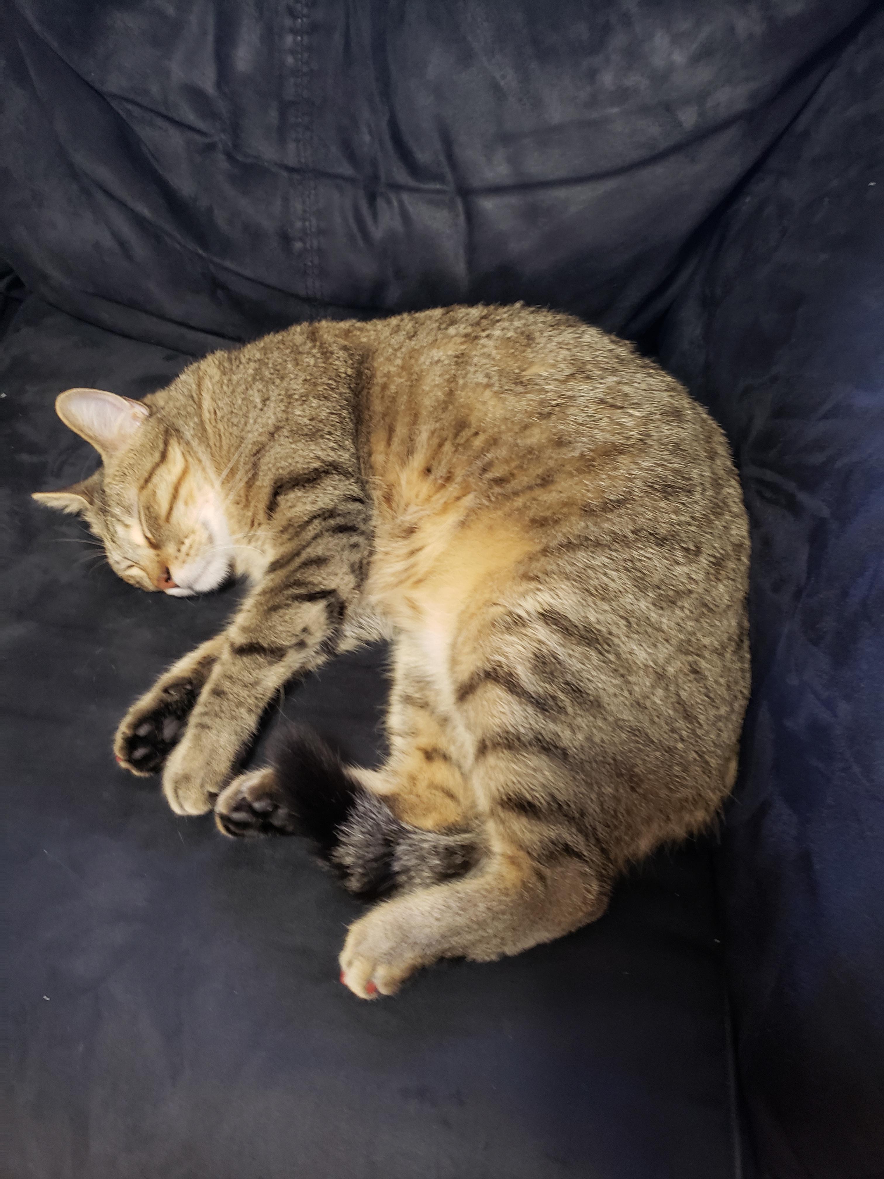 Sleepy baby | Scrolller