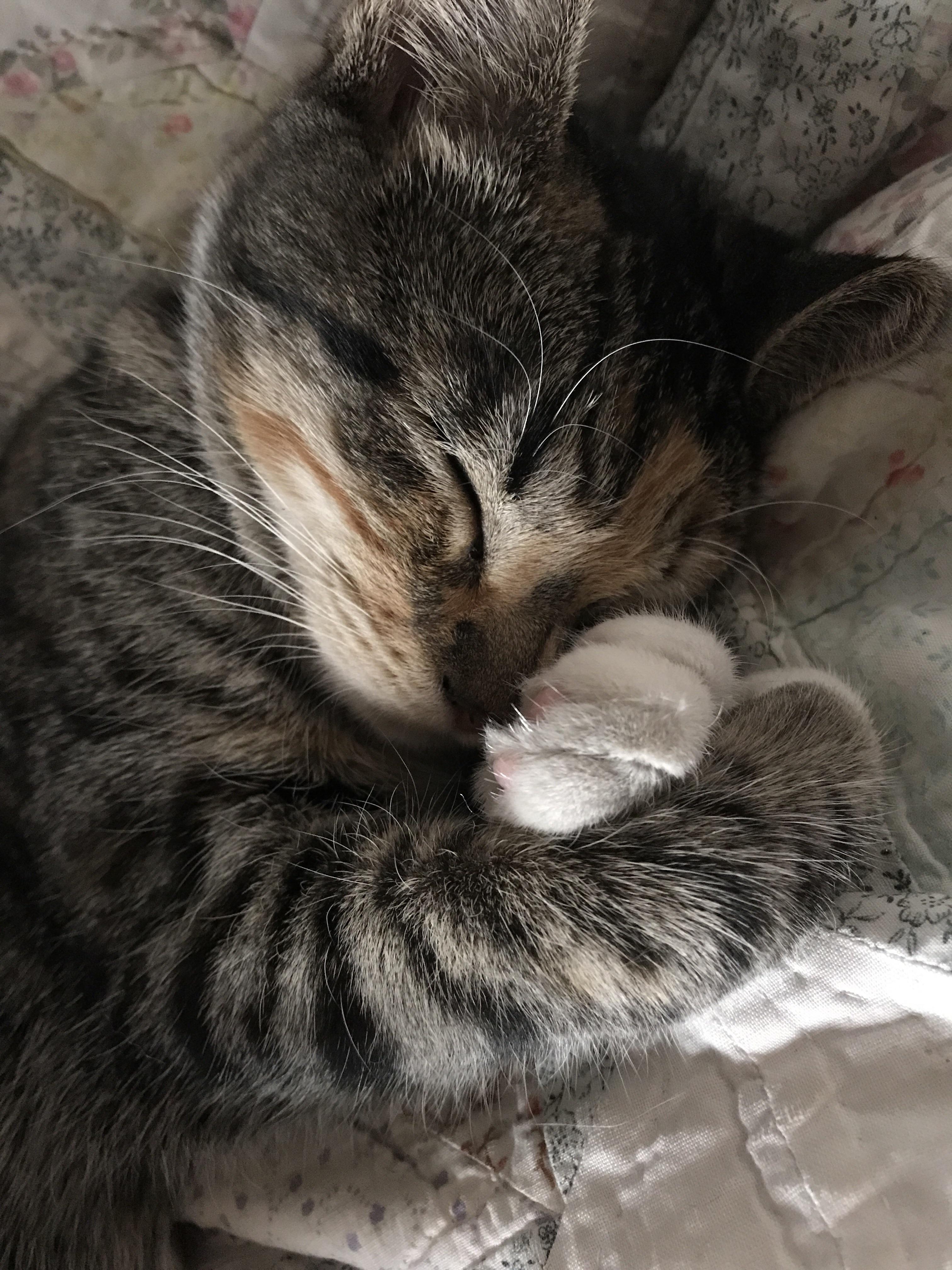 sleepy baby 💕 | Scrolller