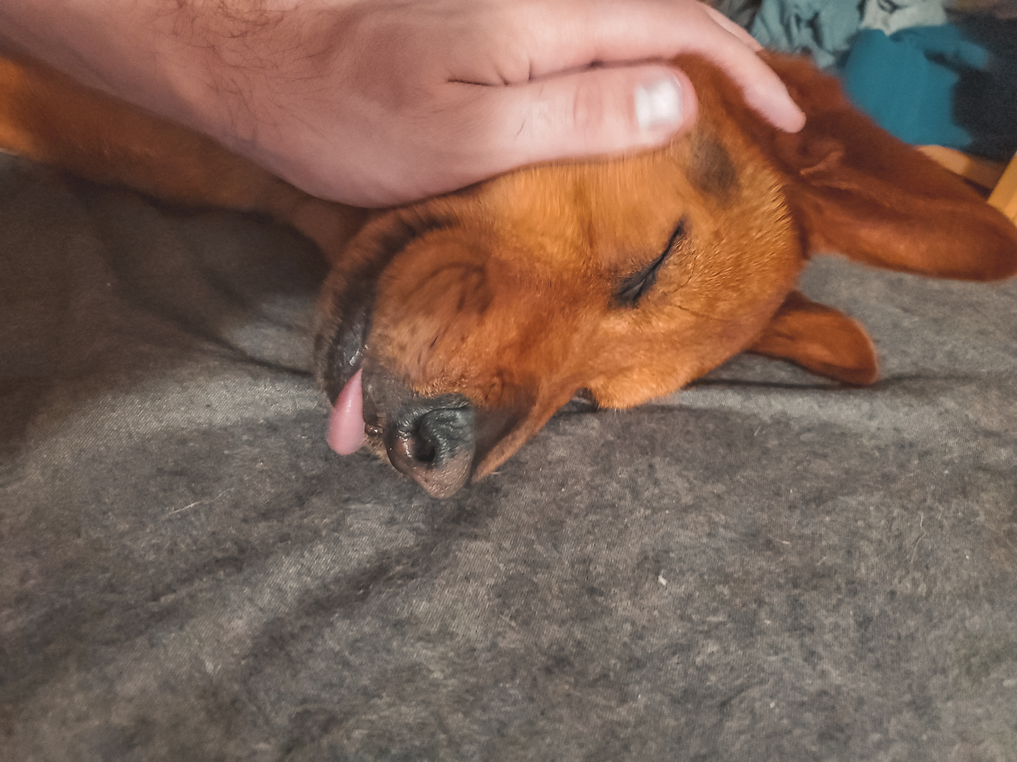 Sleepy blop | Scrolller