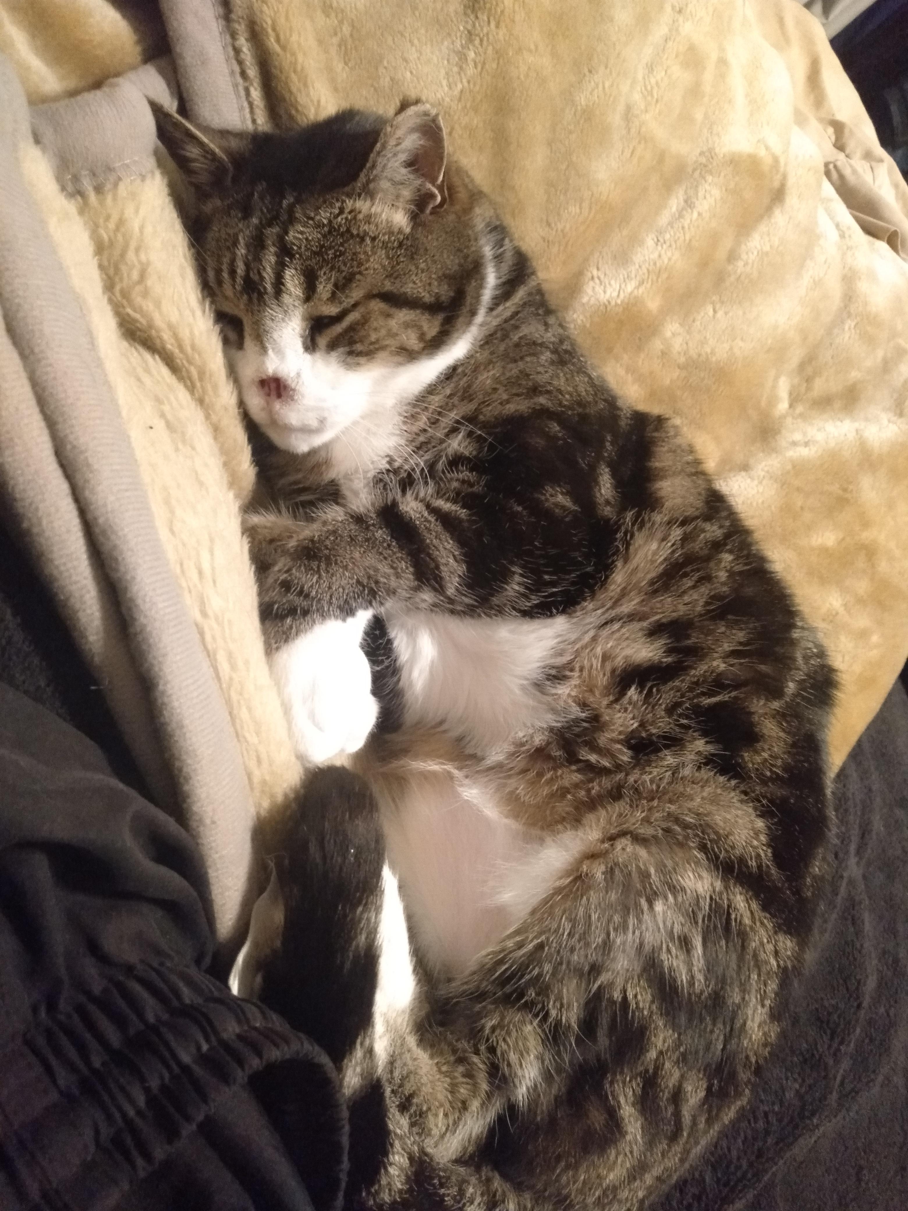 Sleepy boi Floyd | Scrolller