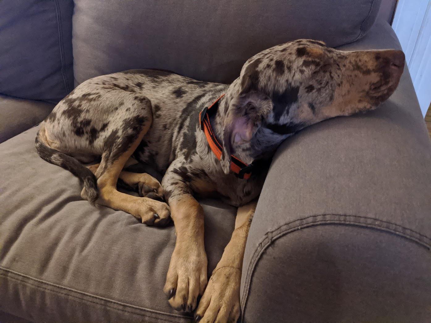 Sleepy boy | Scrolller