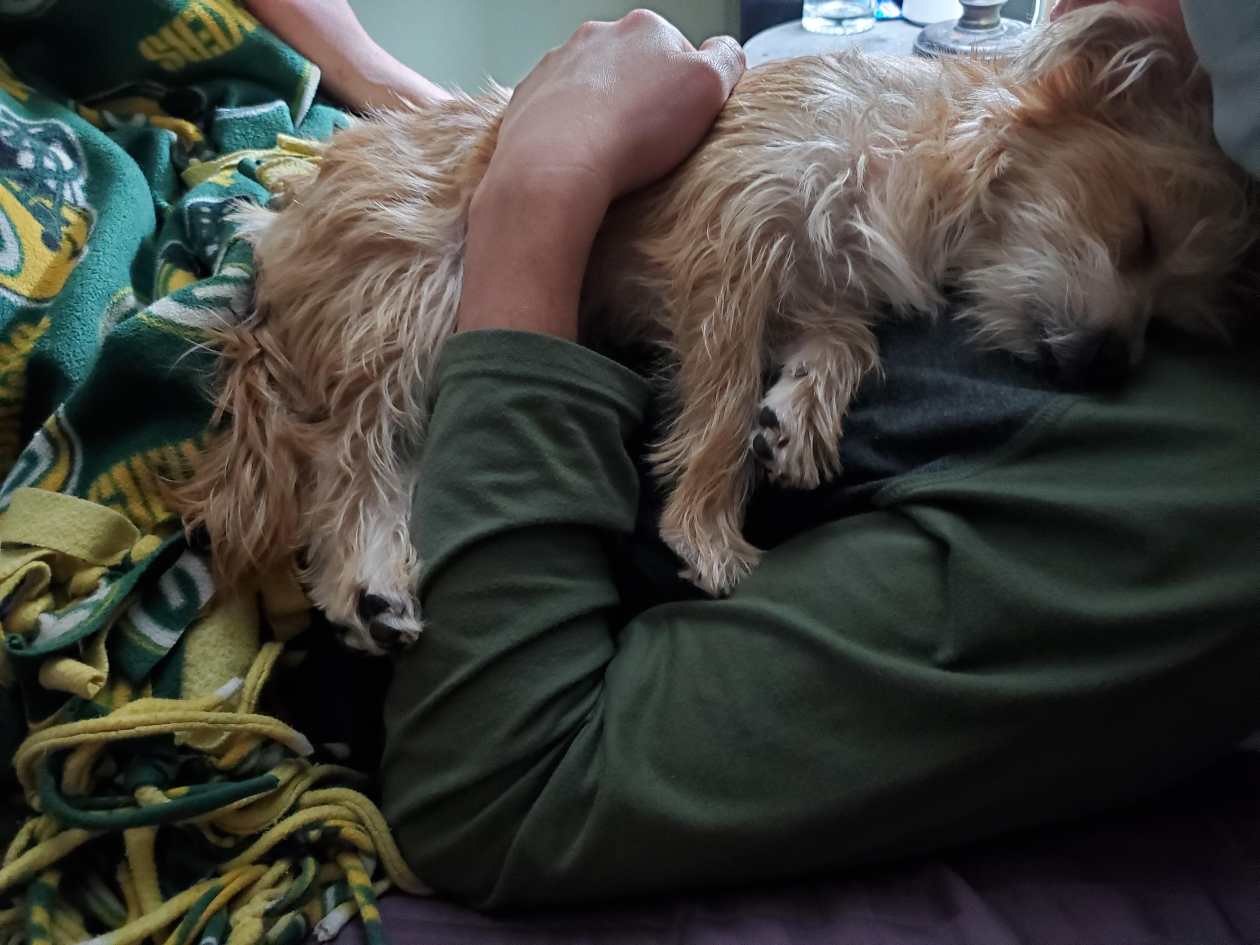 Sleepy Boy | Scrolller