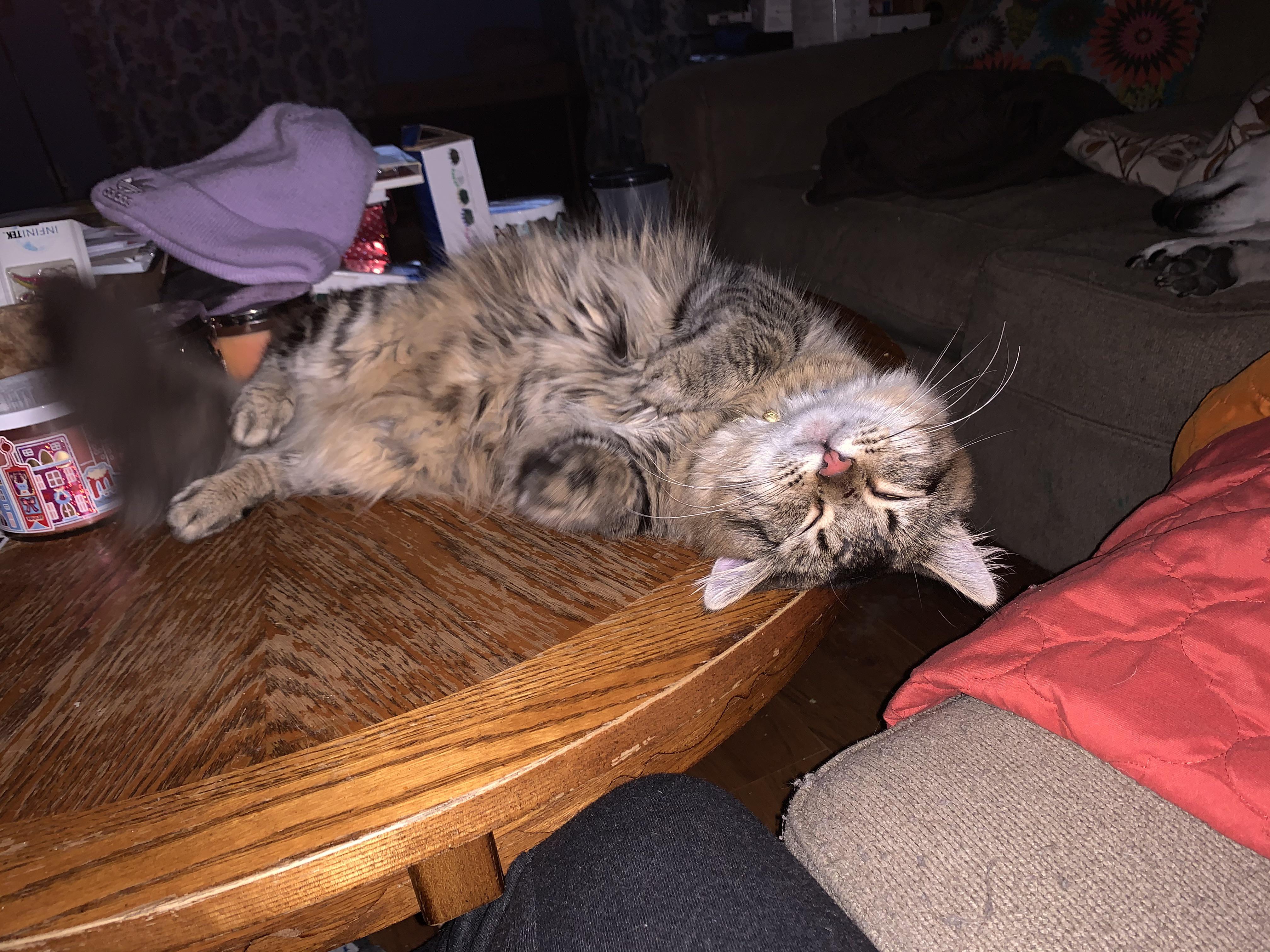 Sleepy boy | Scrolller