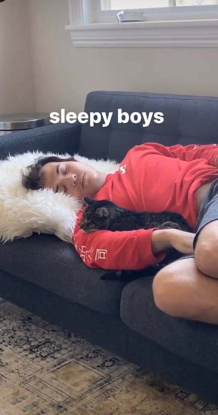 Sleepy boys 😽 | Scrolller
