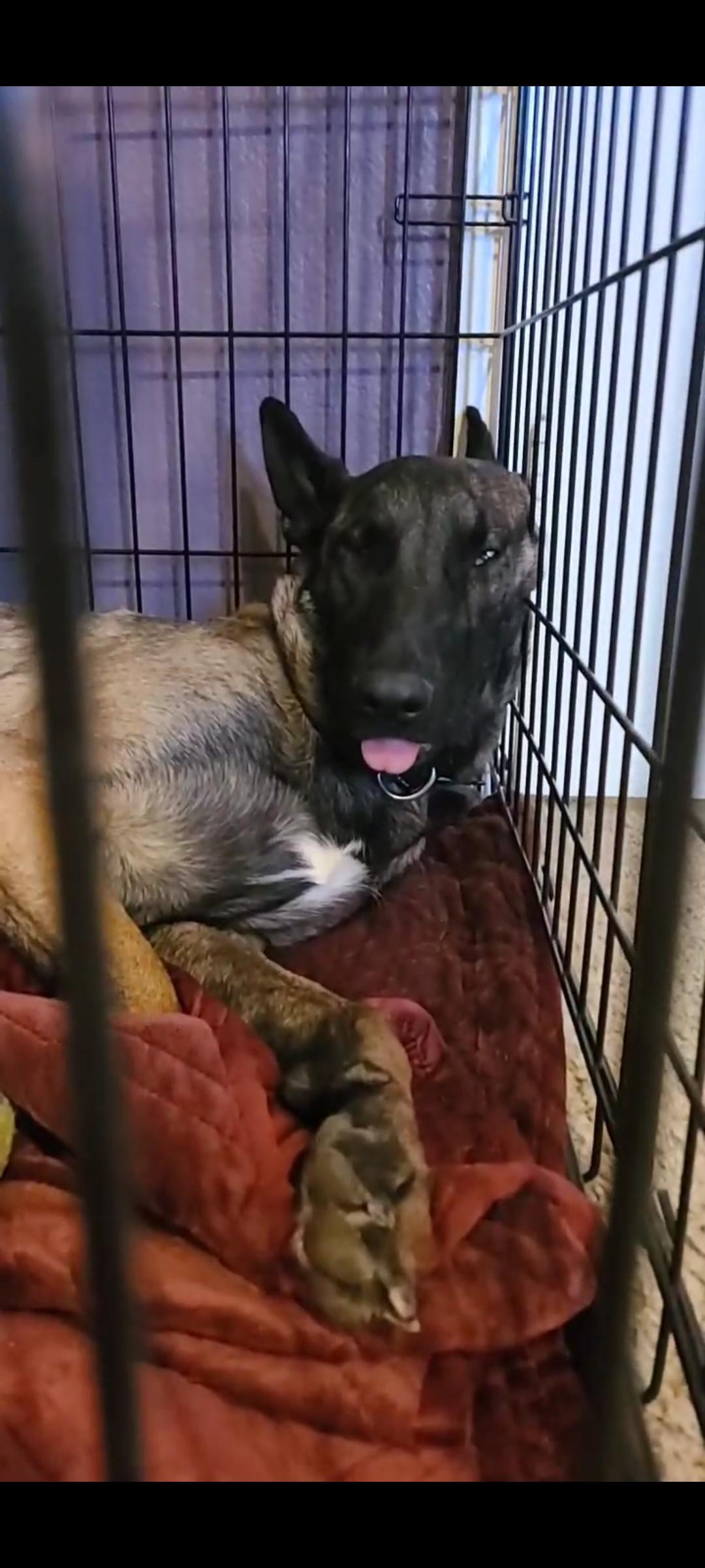 Sleepy derp | Scrolller