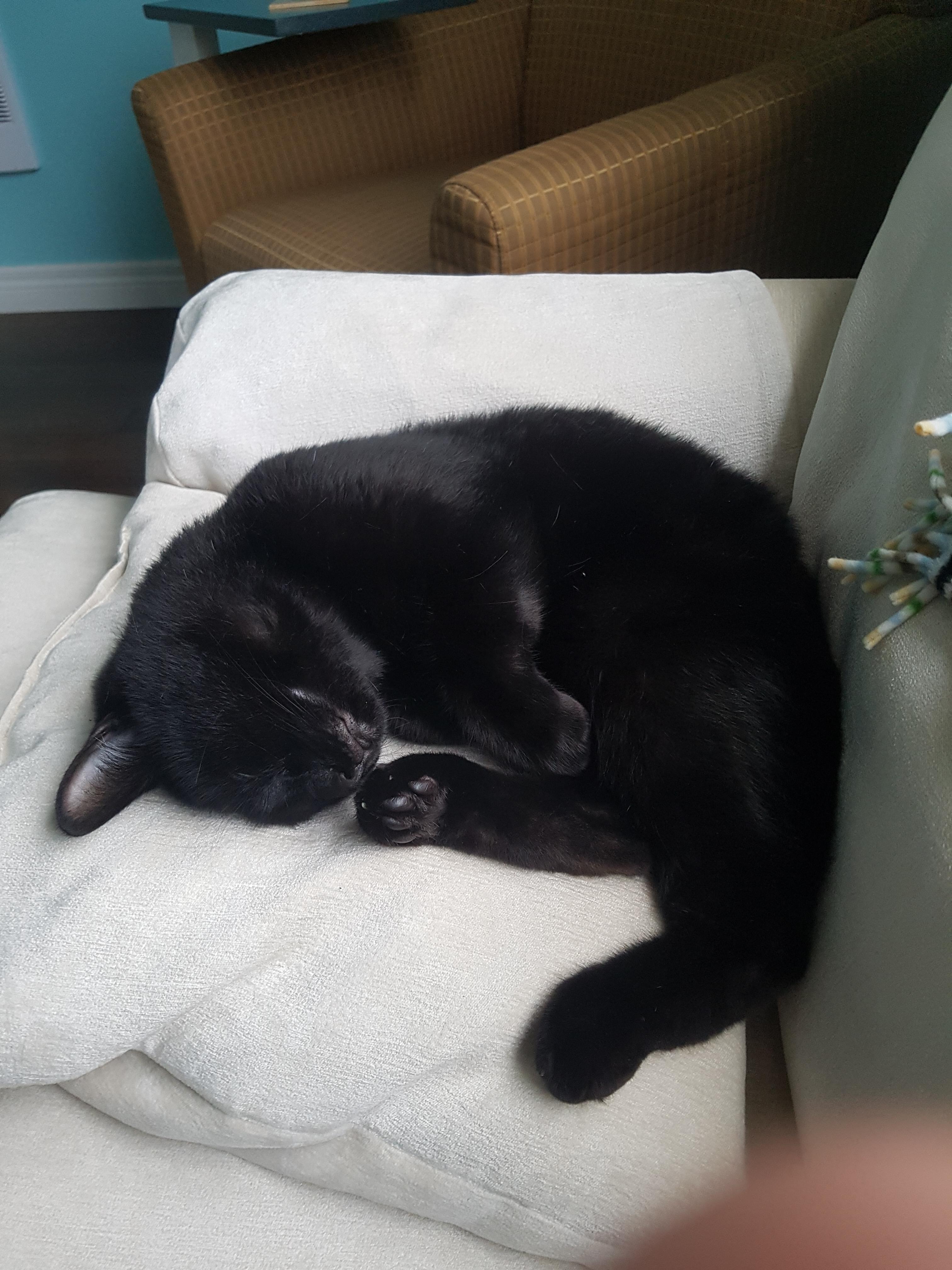 Sleepy feetsies | Scrolller