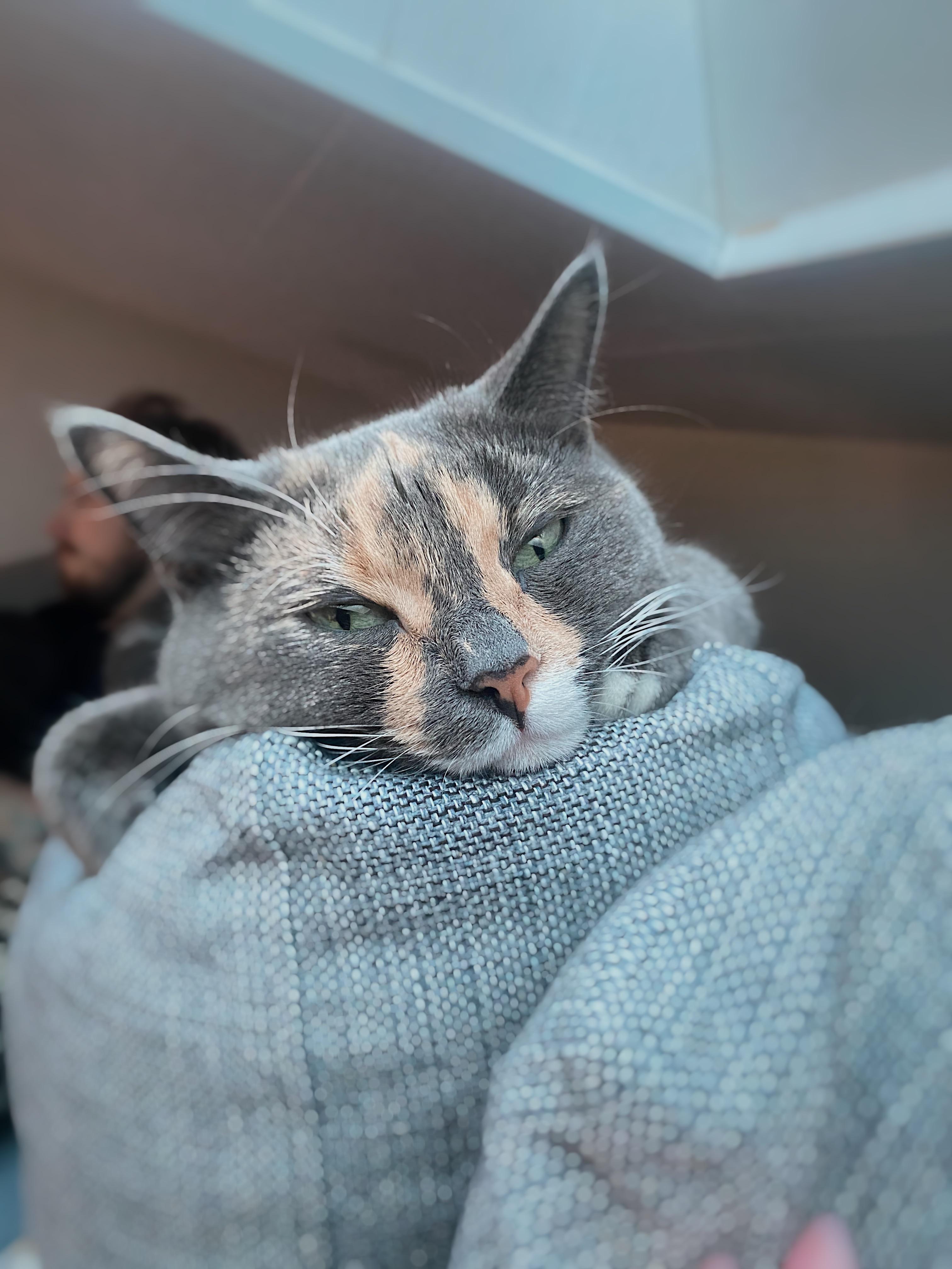 Sleepy girl | Scrolller