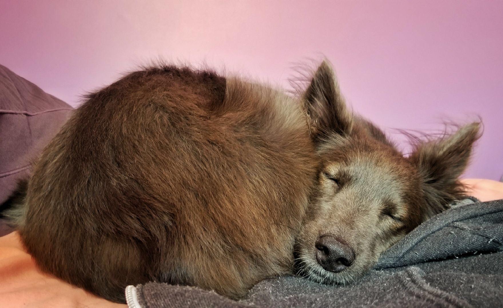 Sleepy girl | Scrolller