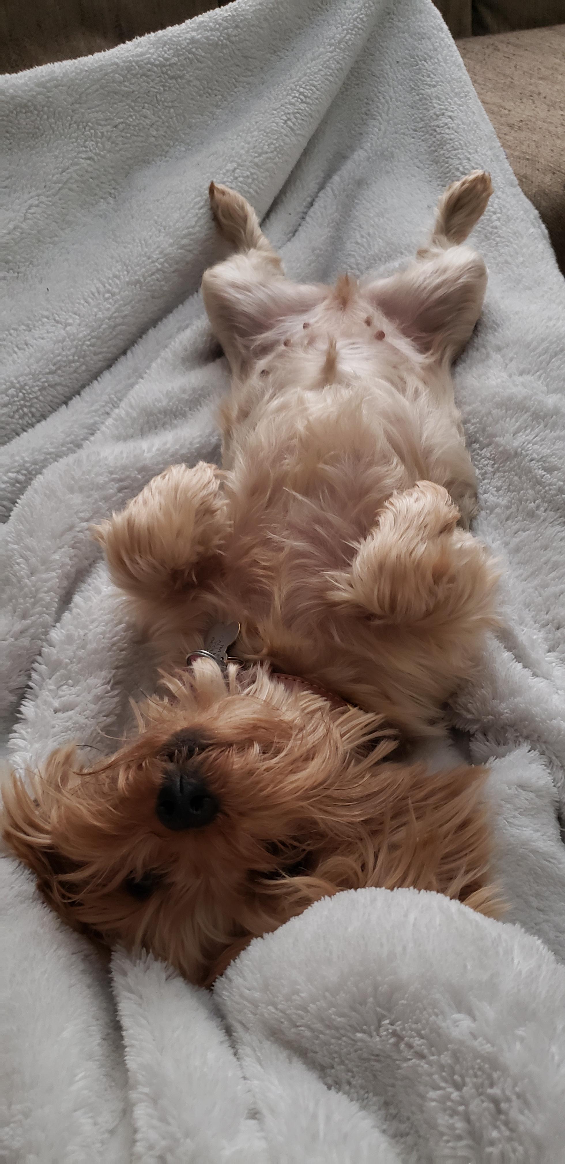 Sleepy girl | Scrolller