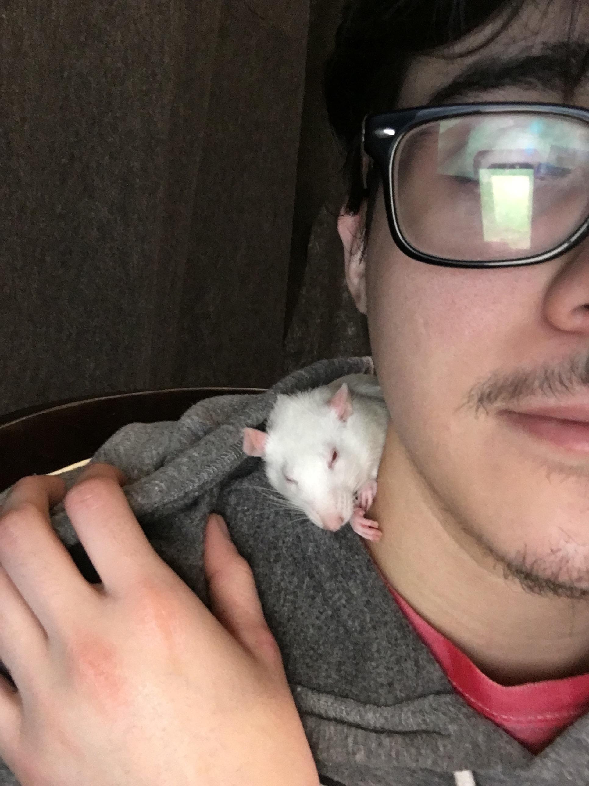 Sleepy gurl | Scrolller