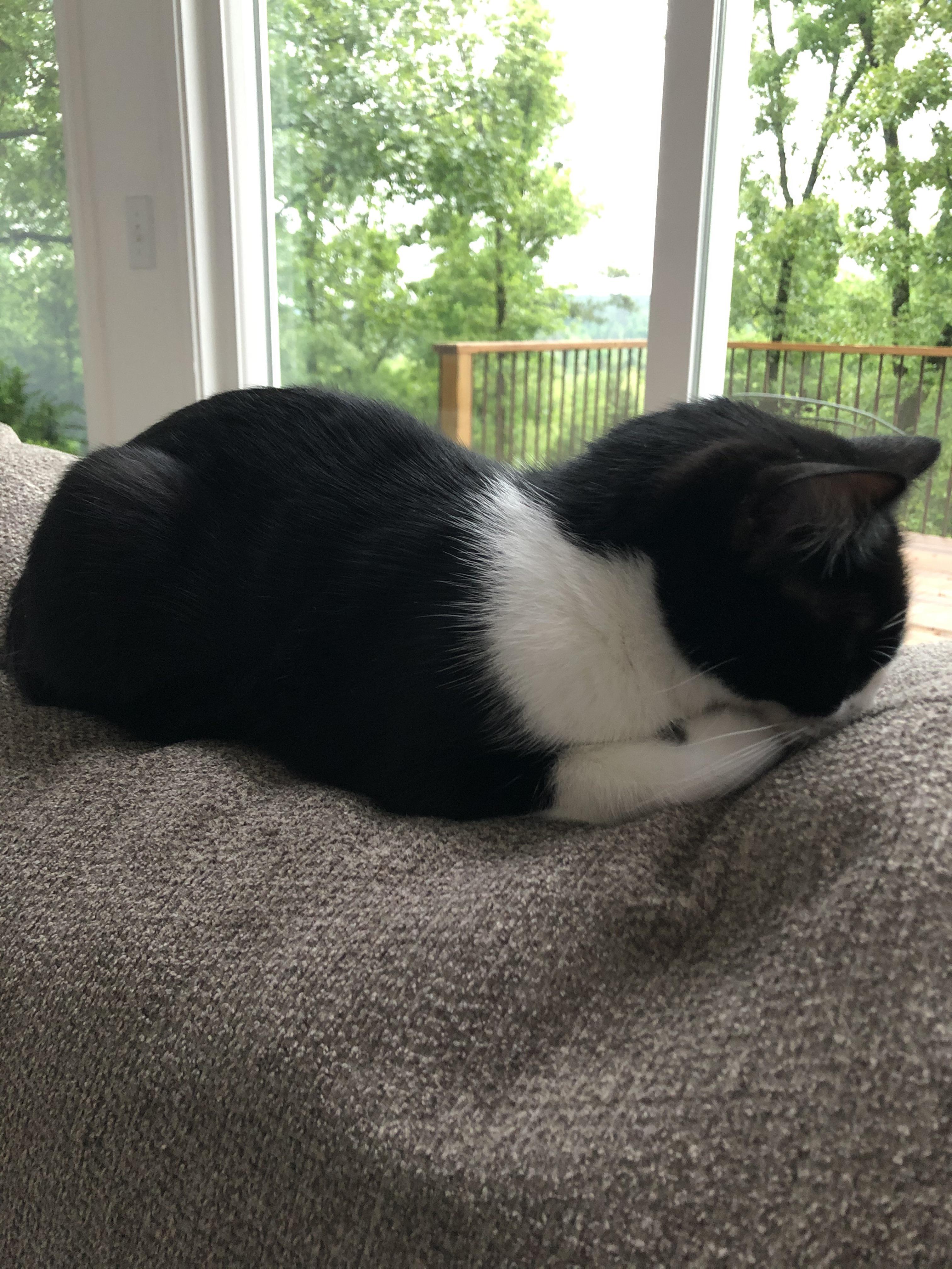 Sleepy loaf | Scrolller