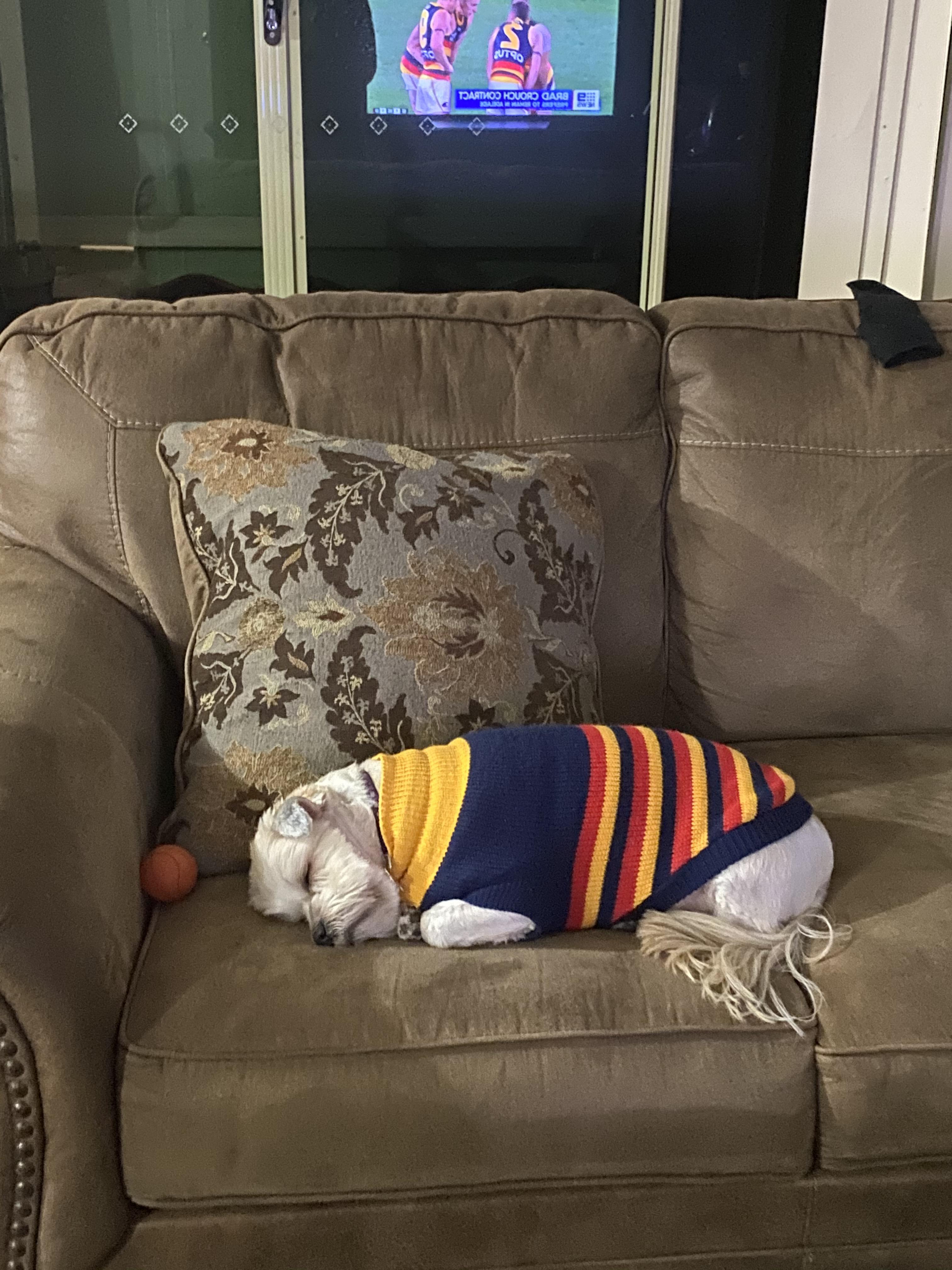 Sleepy loaf | Scrolller