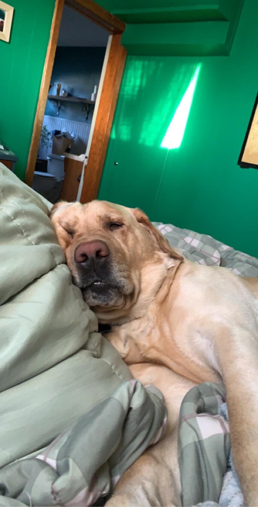 Sleepy squishy | Scrolller