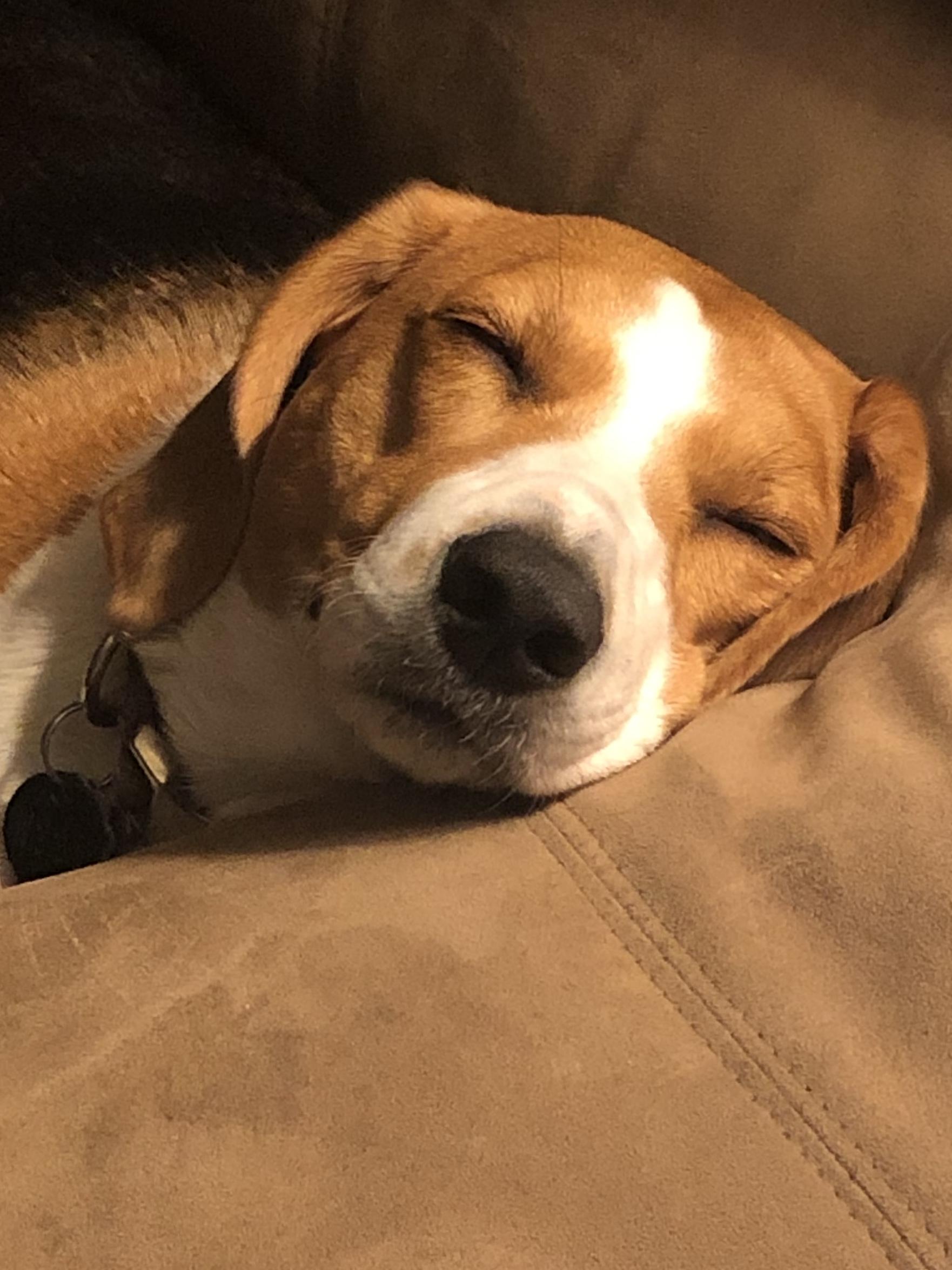 Sleepy TWC | Scrolller