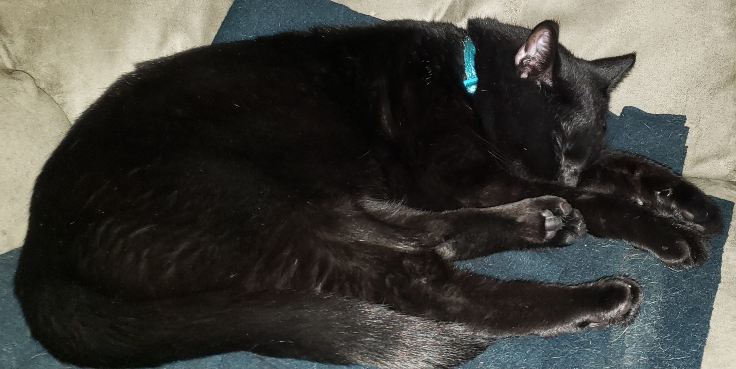 Sleepy void | Scrolller