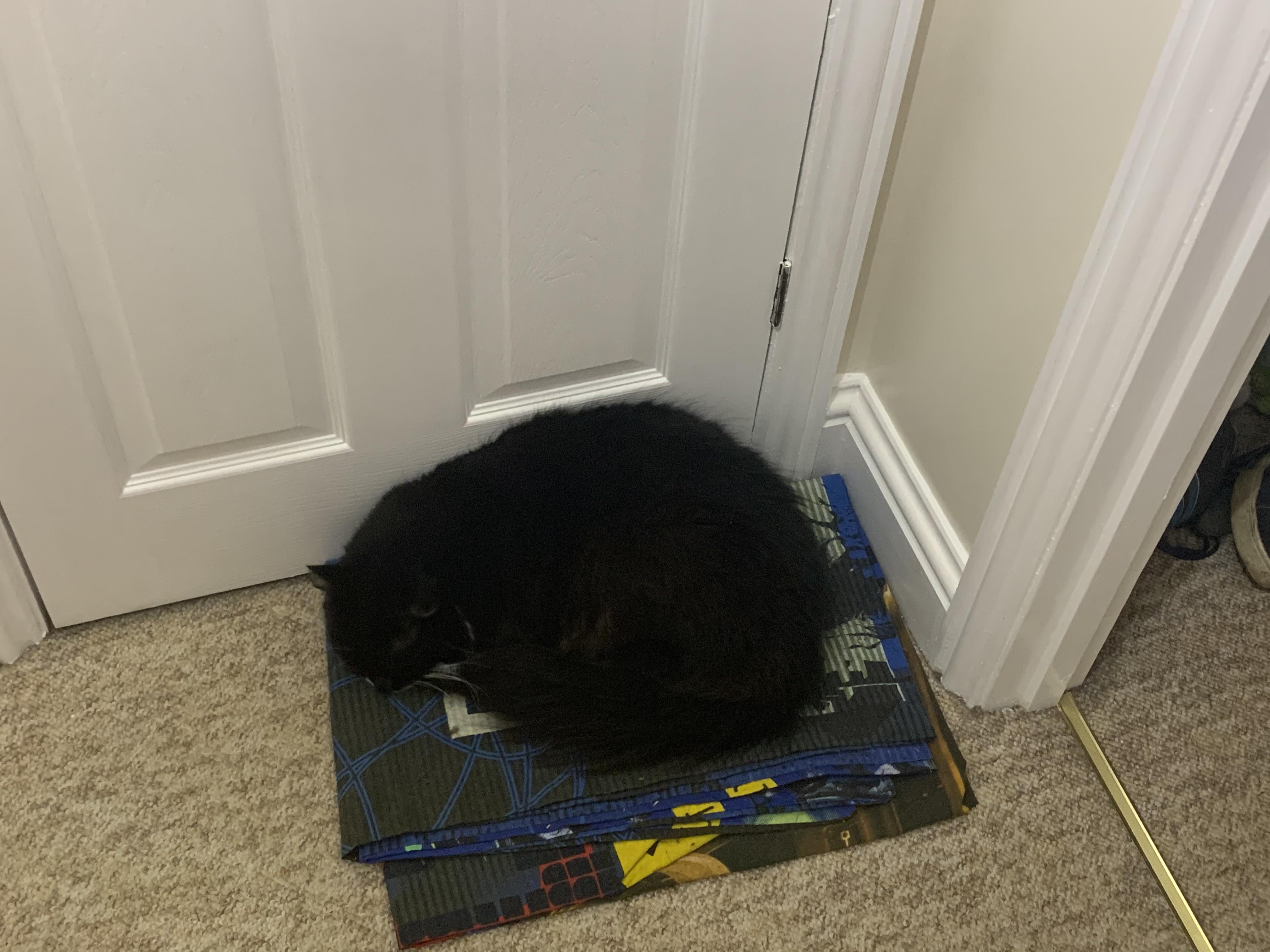 Sleepy void | Scrolller