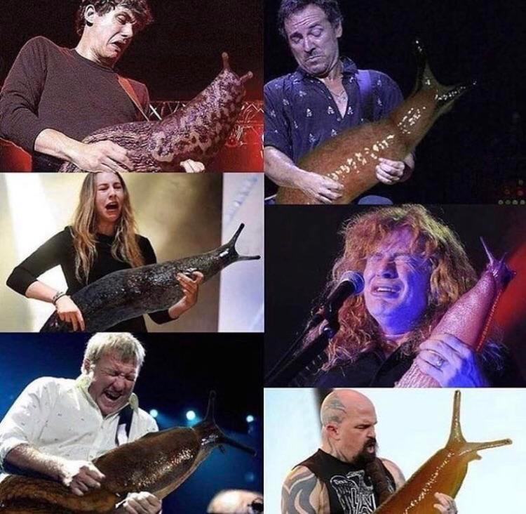 Slug 🐌 | Scrolller