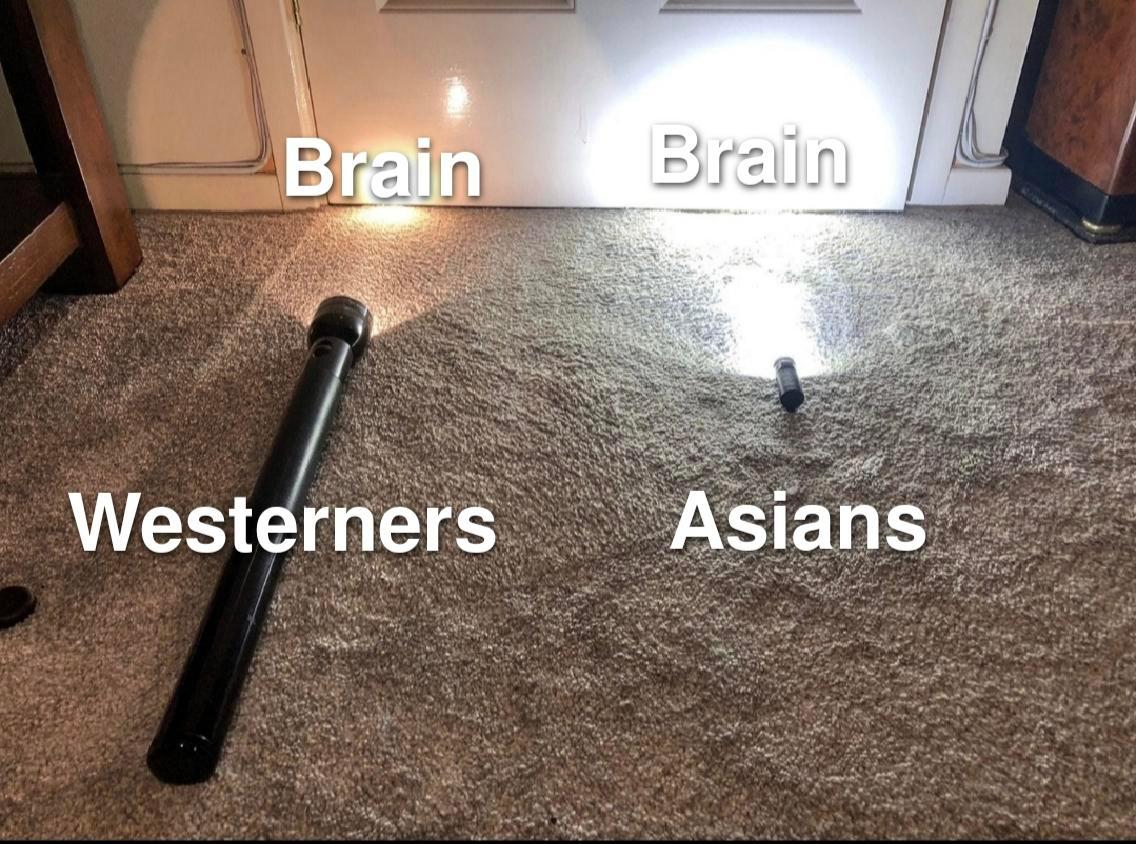 Smaller PP, Bigger Brain | Scrolller