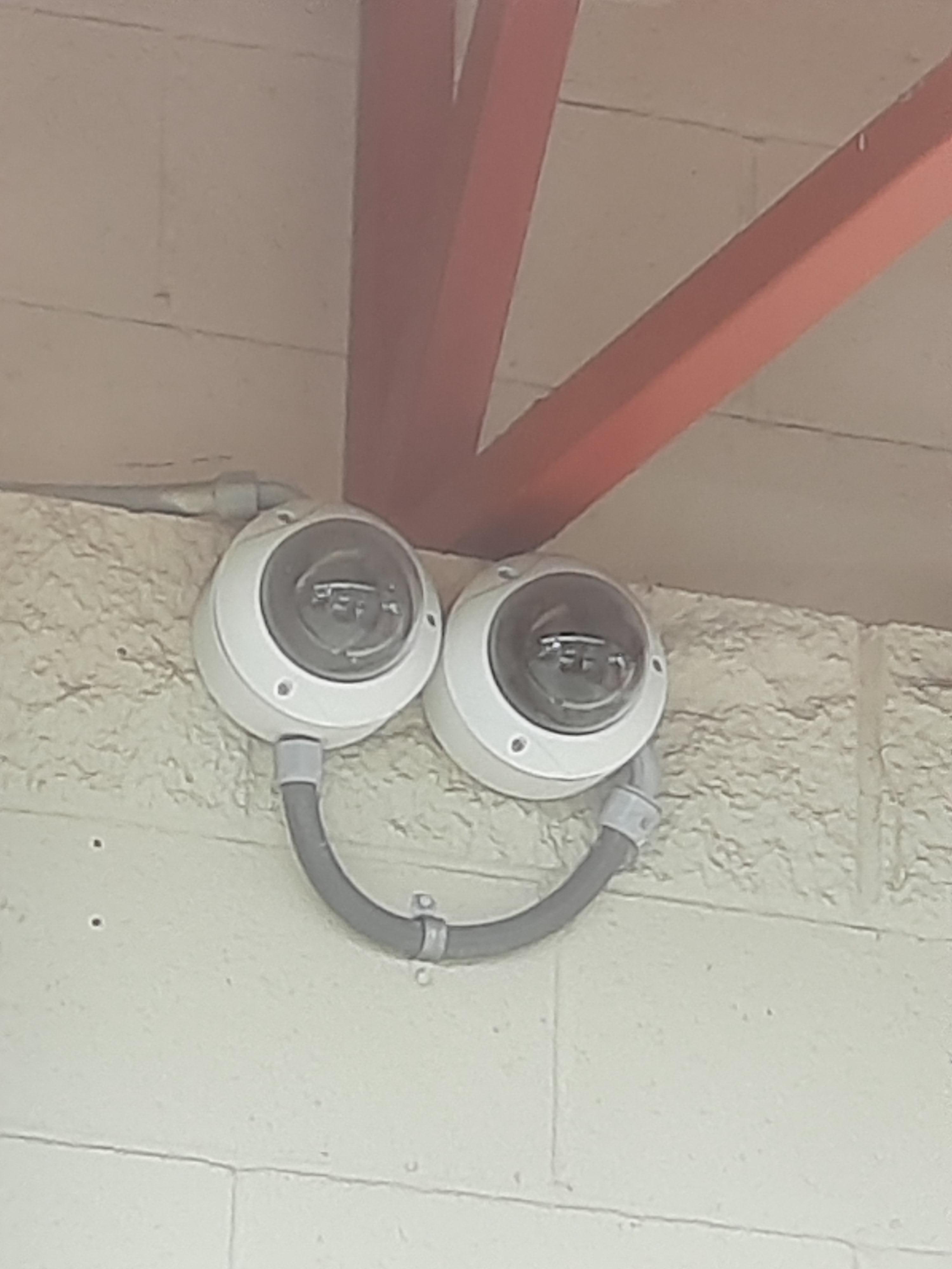 Smile! You're a camera! | Scrolller