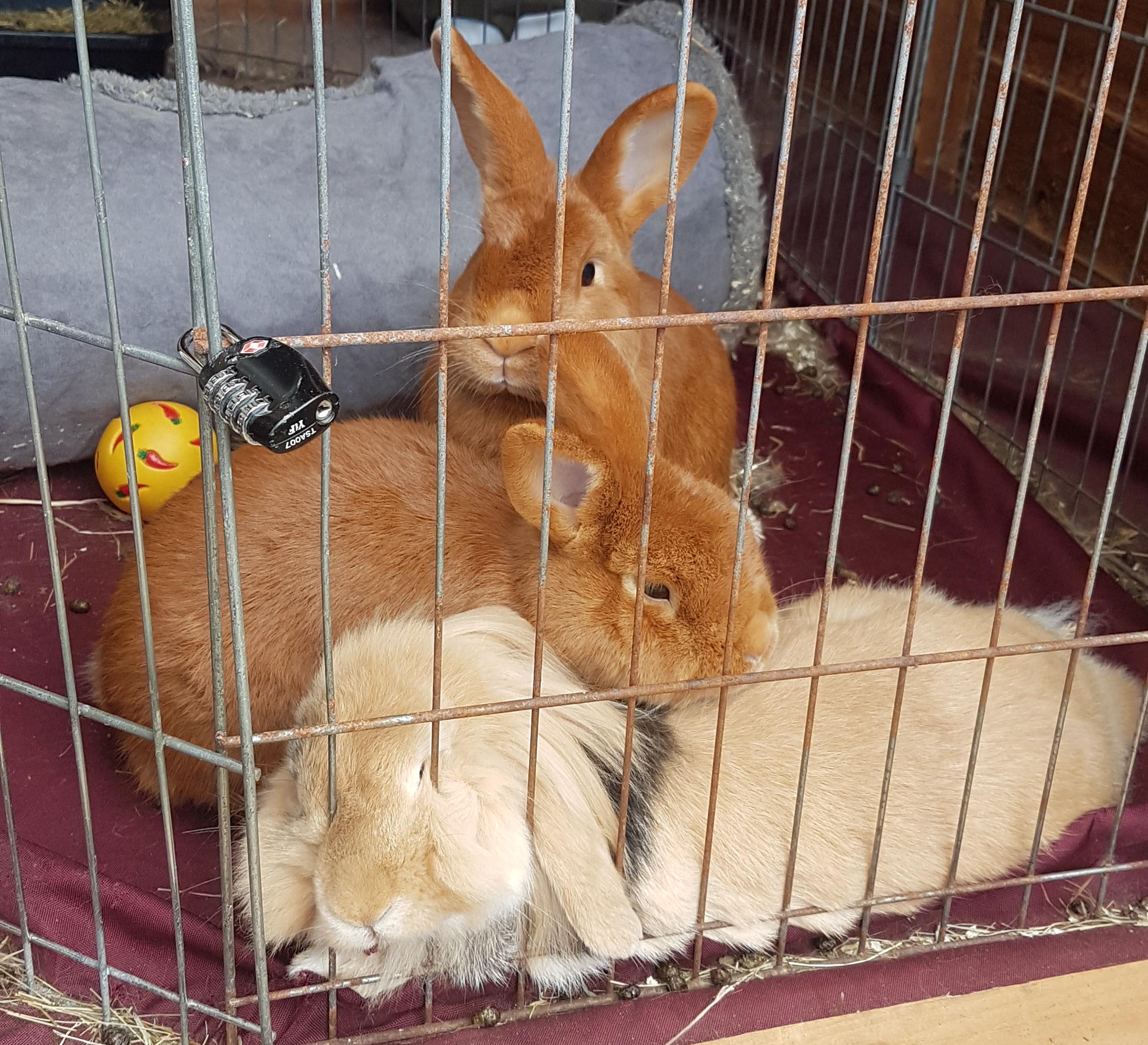 Smush Face | Scrolller