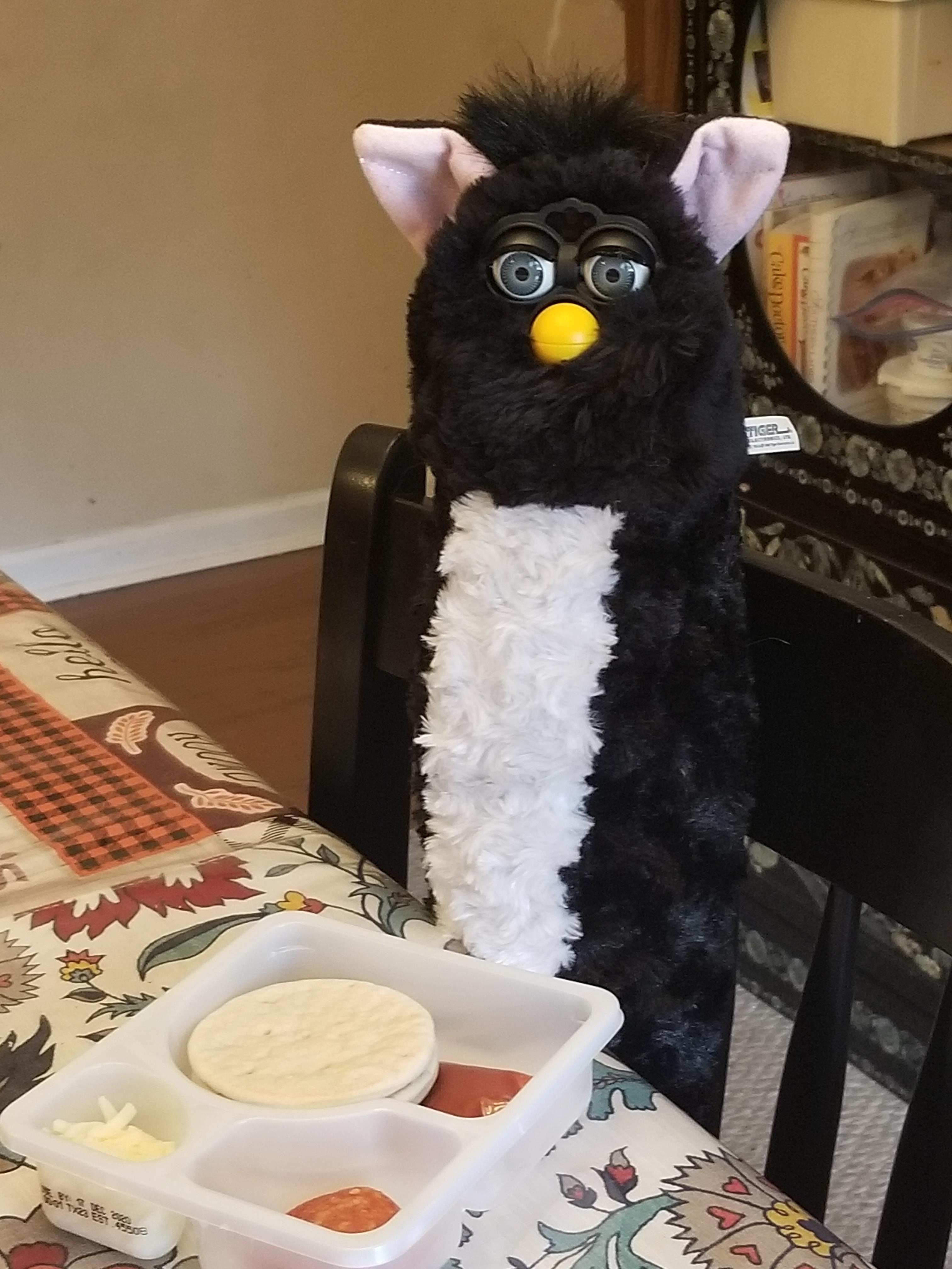 Snack break | Scrolller