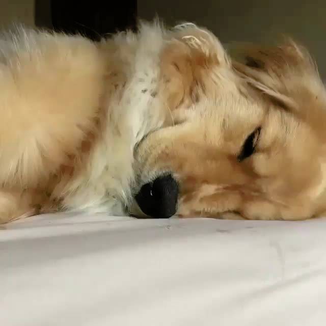 Snooze please ⏰ | Scrolller