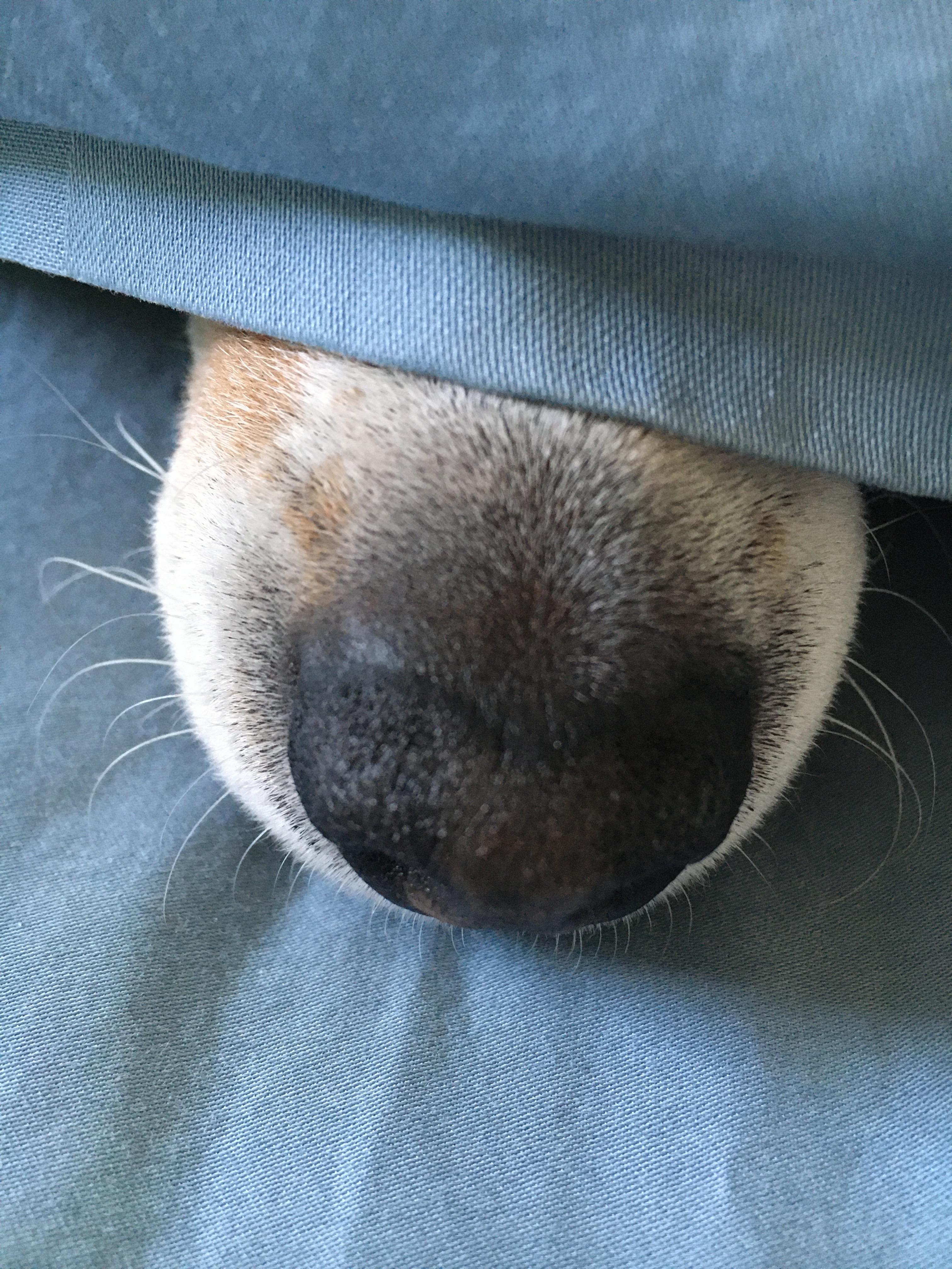 Snoozing... | Scrolller