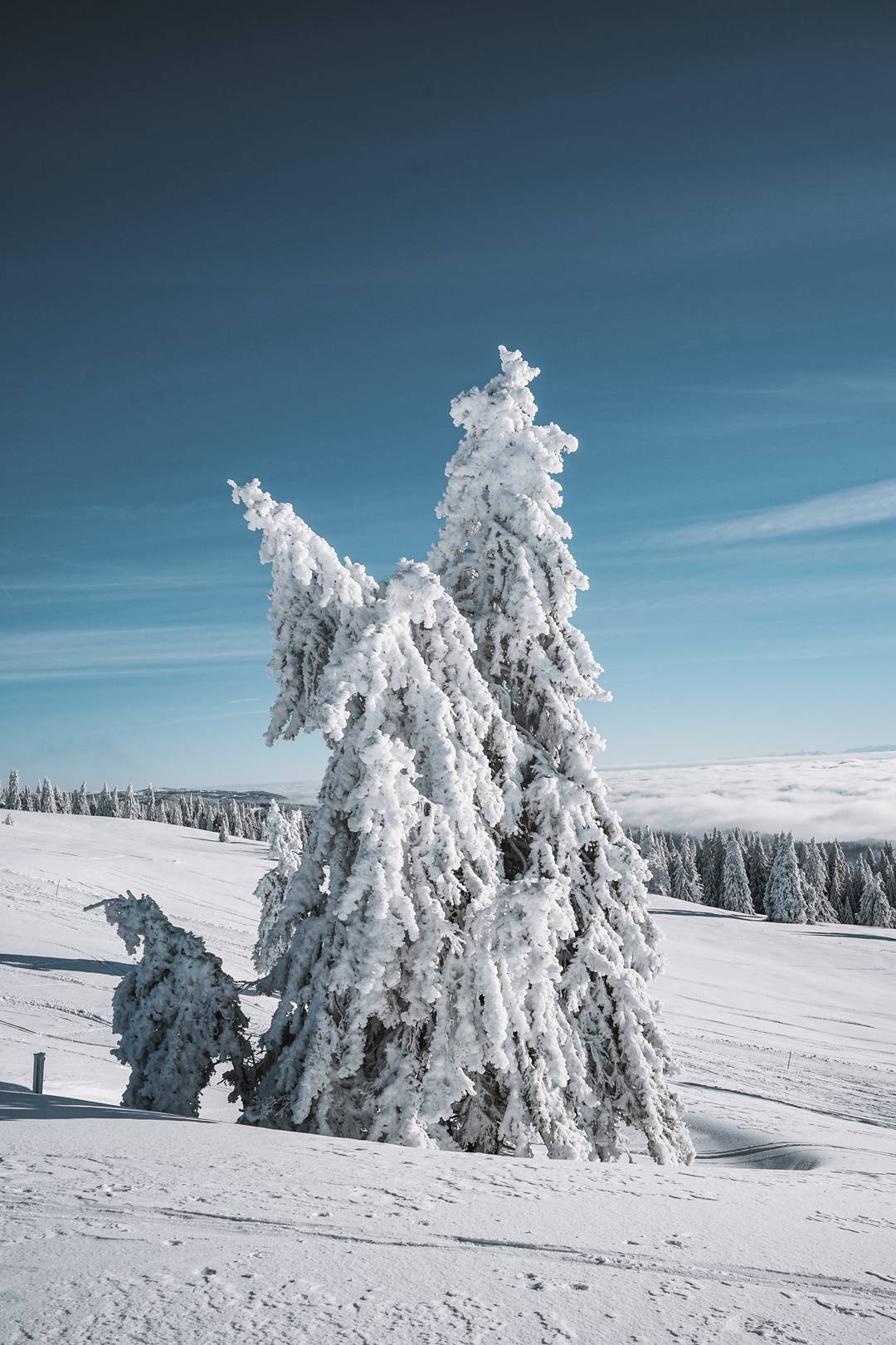 Snow landscape in Switzerland (Photo credit to Damien Schnorhk) | Scrolller