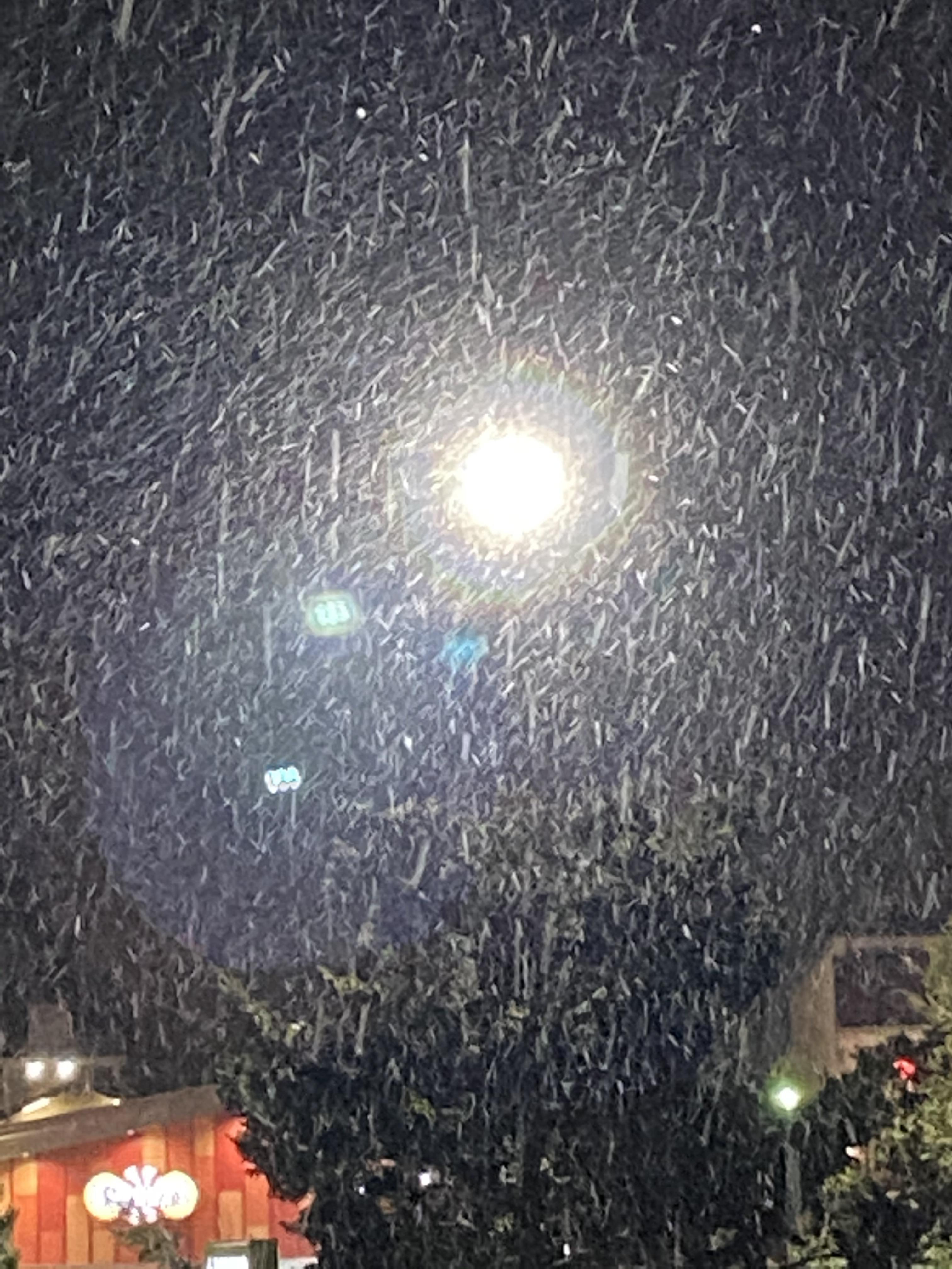 Snow on the strip | Scrolller