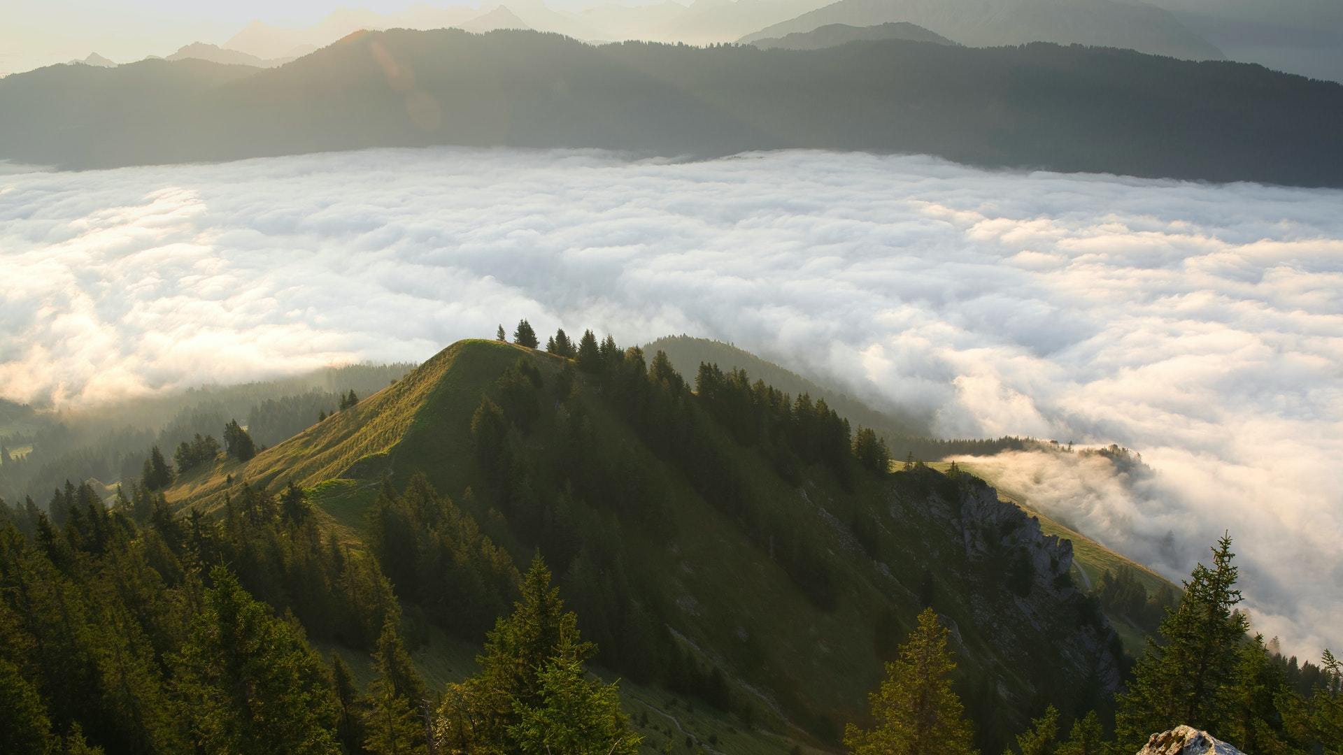 snow-wood-dawn-landscape (1920 x 1080) | Scrolller