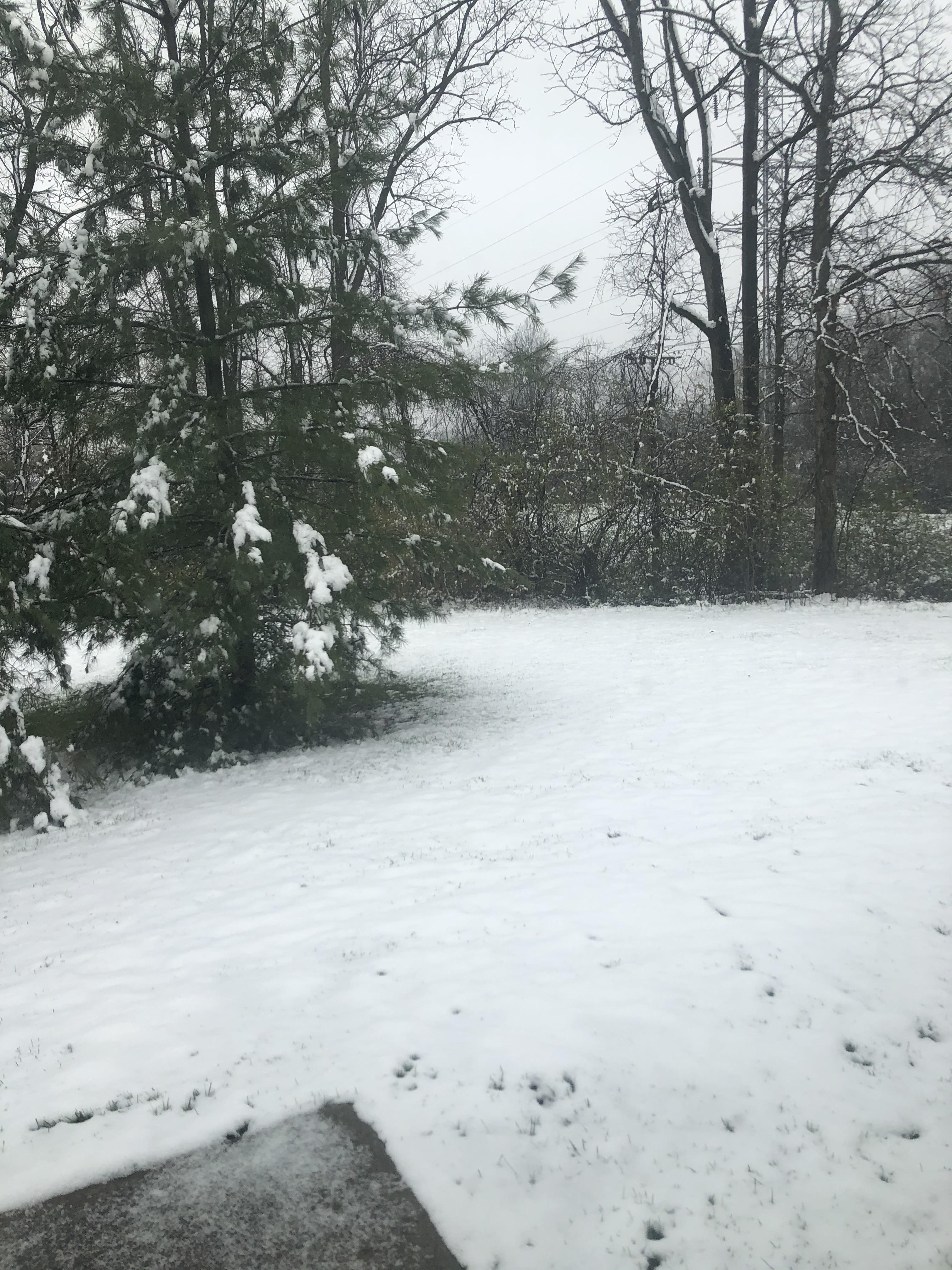 Snowy Backyard by Southtown | Scrolller