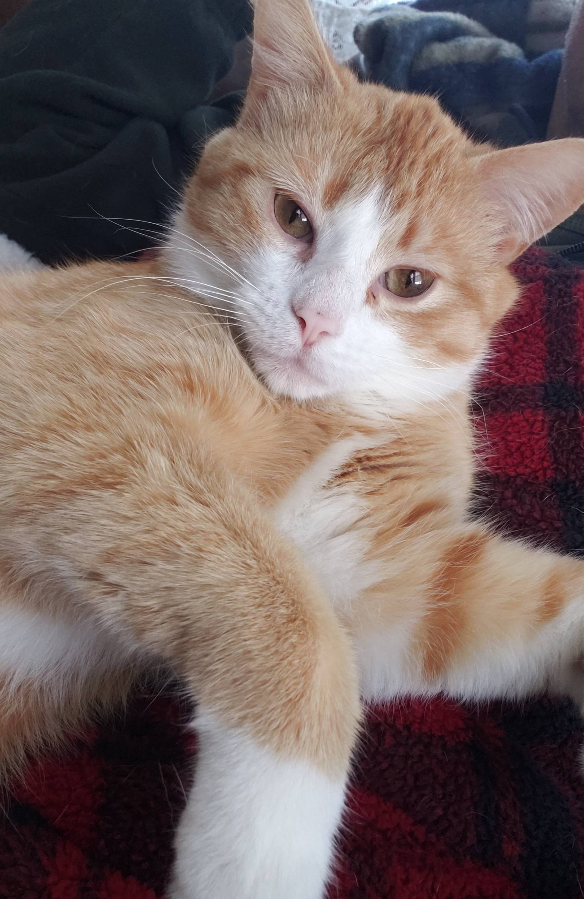 Snuggle buddy | Scrolller