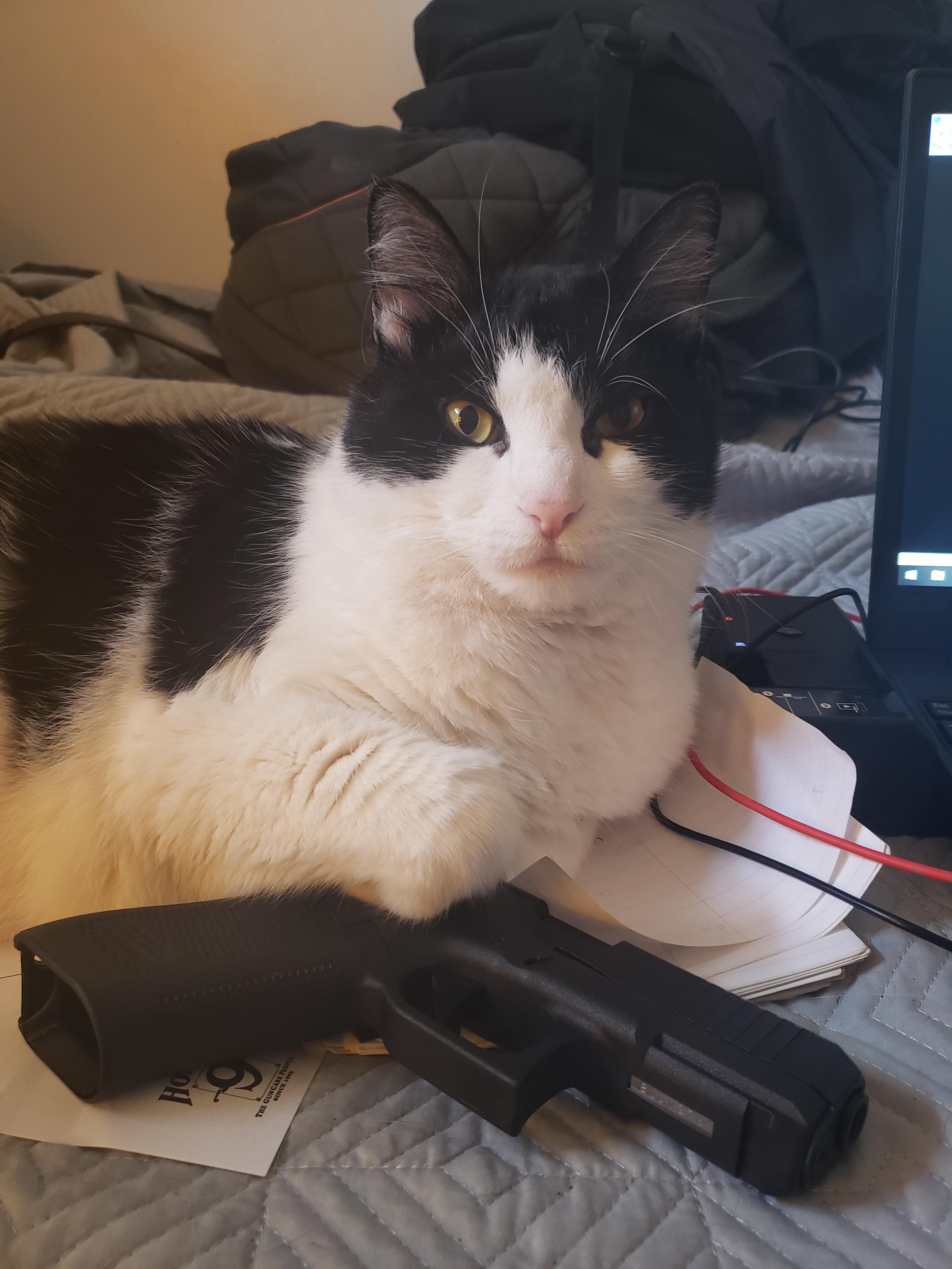 "So, do we have an understanding?" | Scrolller